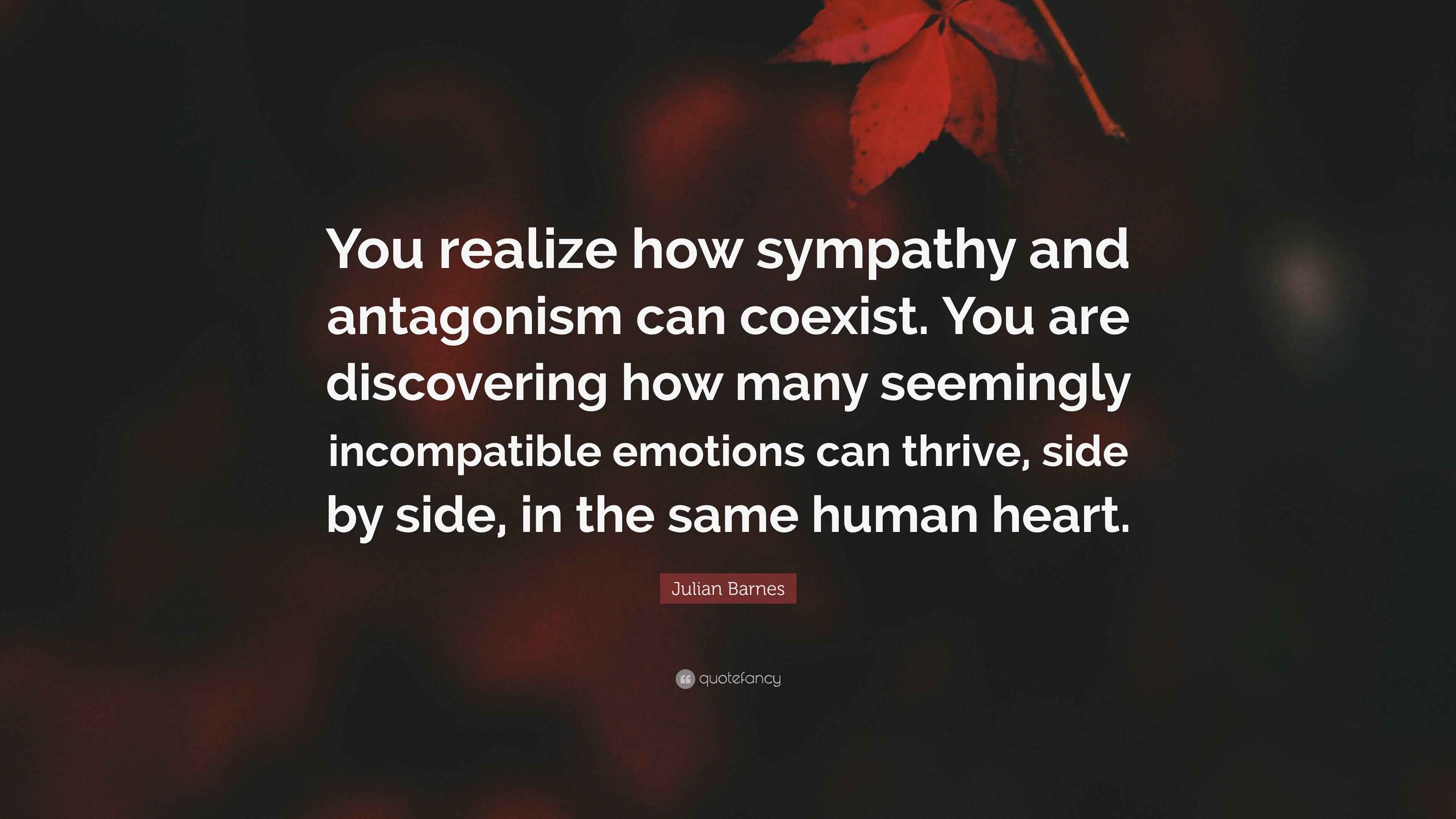 Julian Barnes Quote: “You realize how sympathy and antagonism can ...