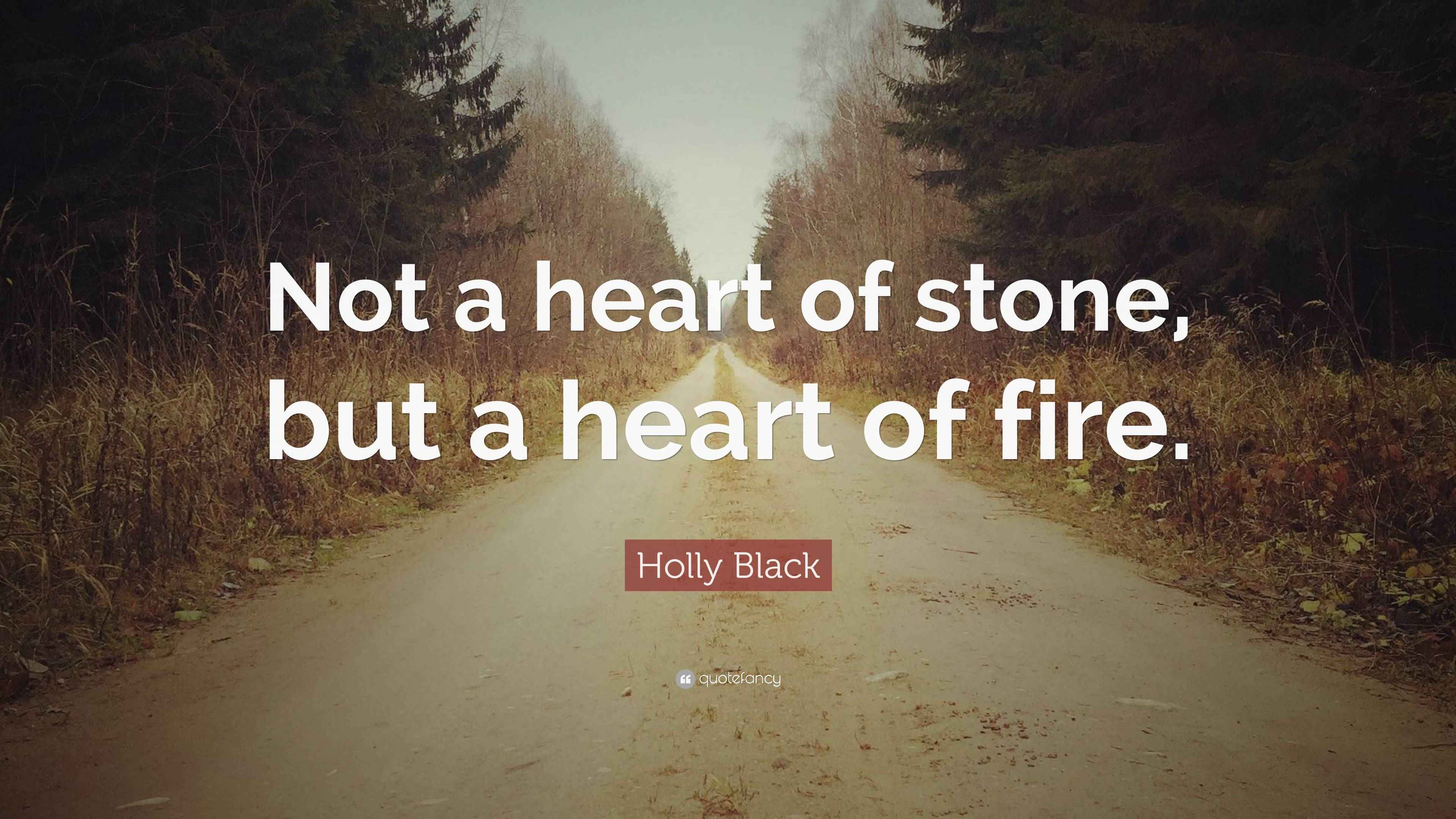 Holly Black Quote: “Not a heart of stone, but a heart of fire.”