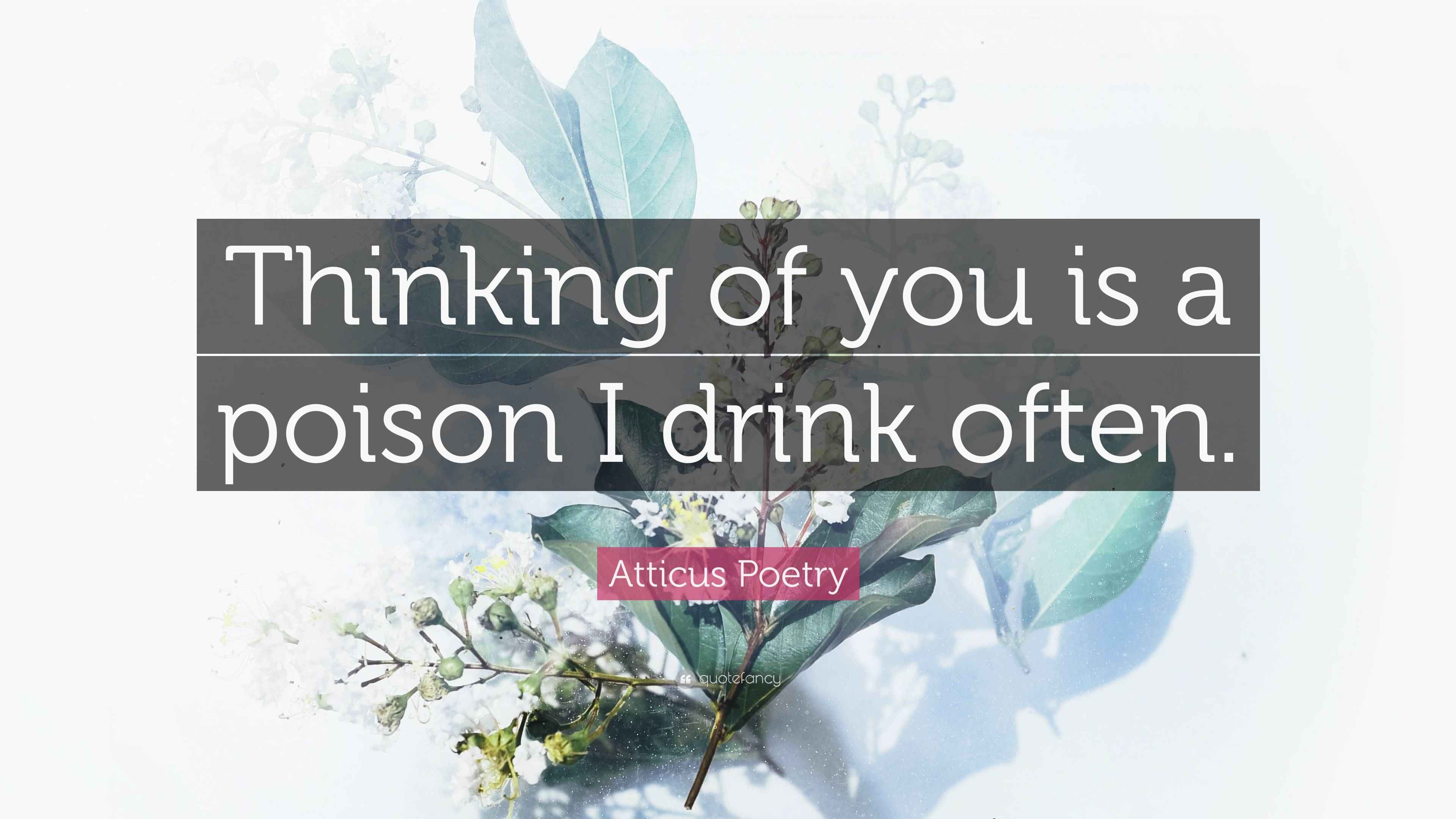 Atticus Poetry Quote: “Thinking of you is a poison I drink often.”