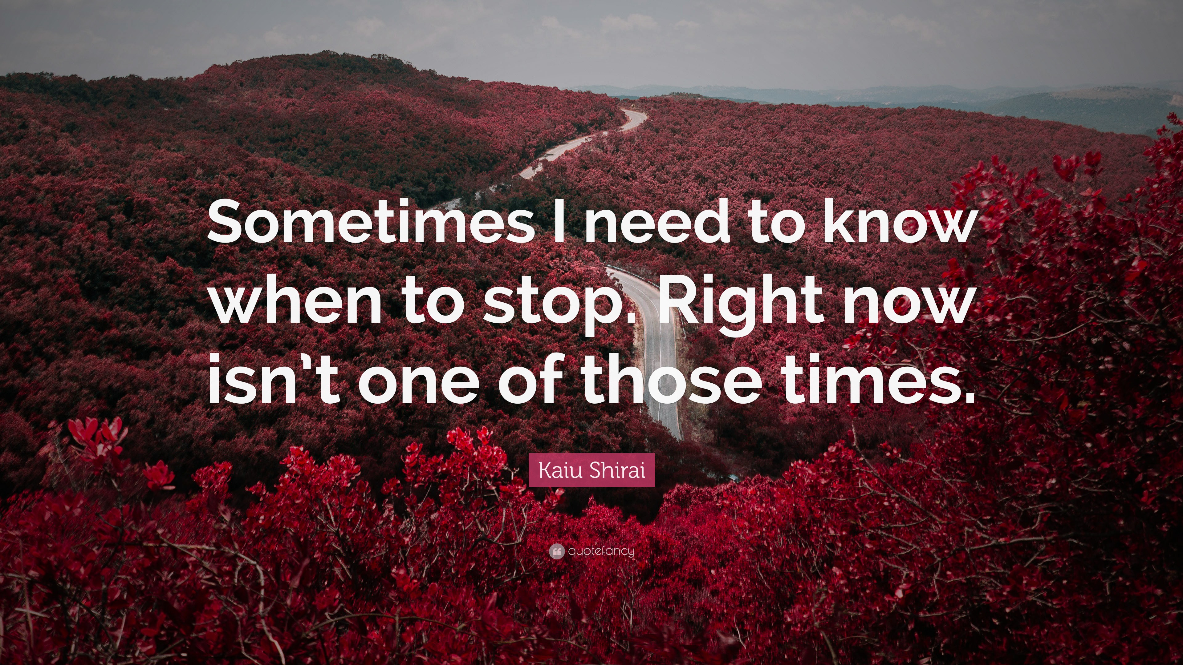 Kaiu Shirai Quote: “Sometimes I need to know when to stop. Right now ...