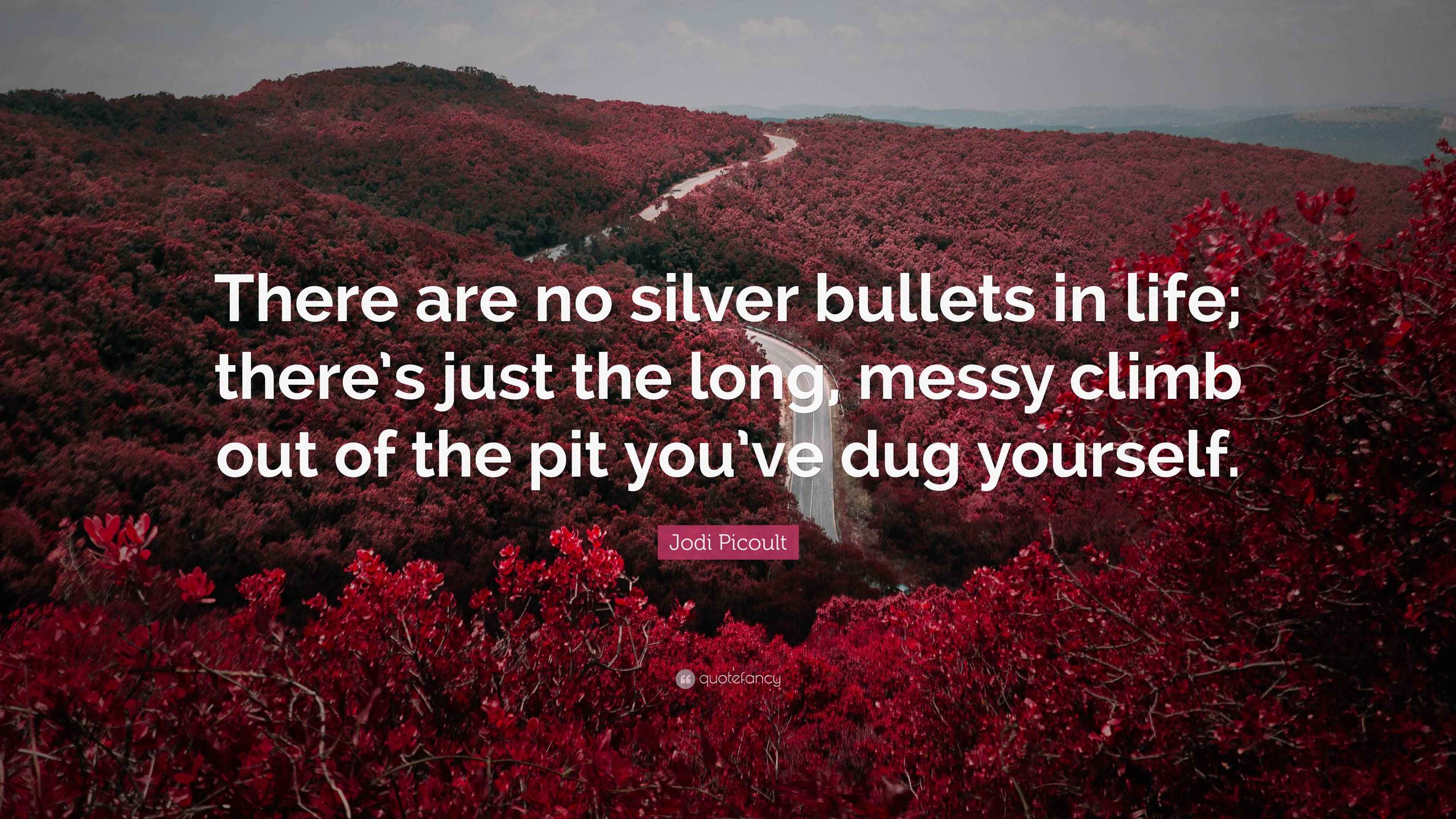 Jodi Picoult Quote: “There are no silver bullets in life; there’s just ...