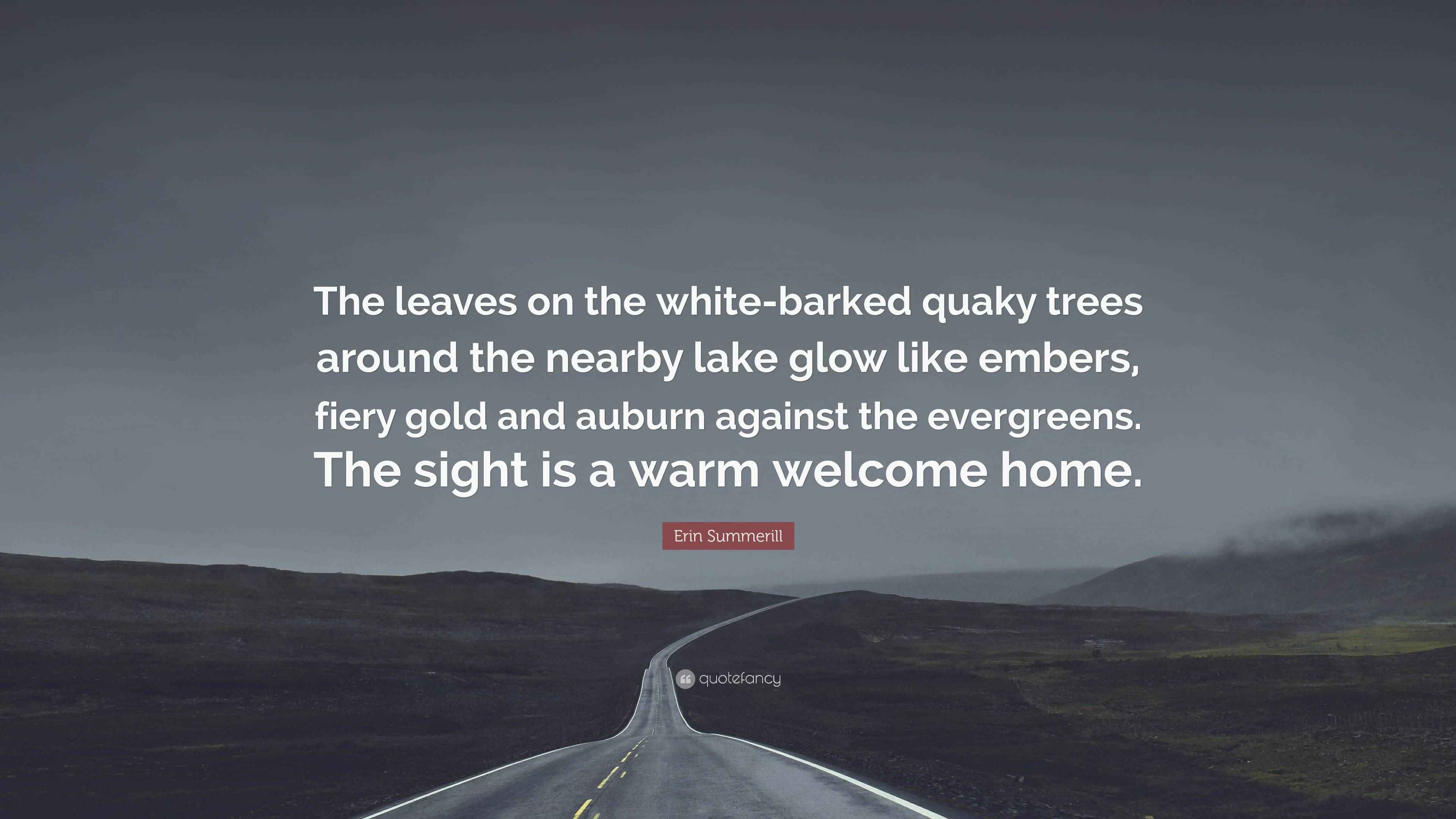Erin Summerill Quote: “The leaves on the white-barked quaky trees ...