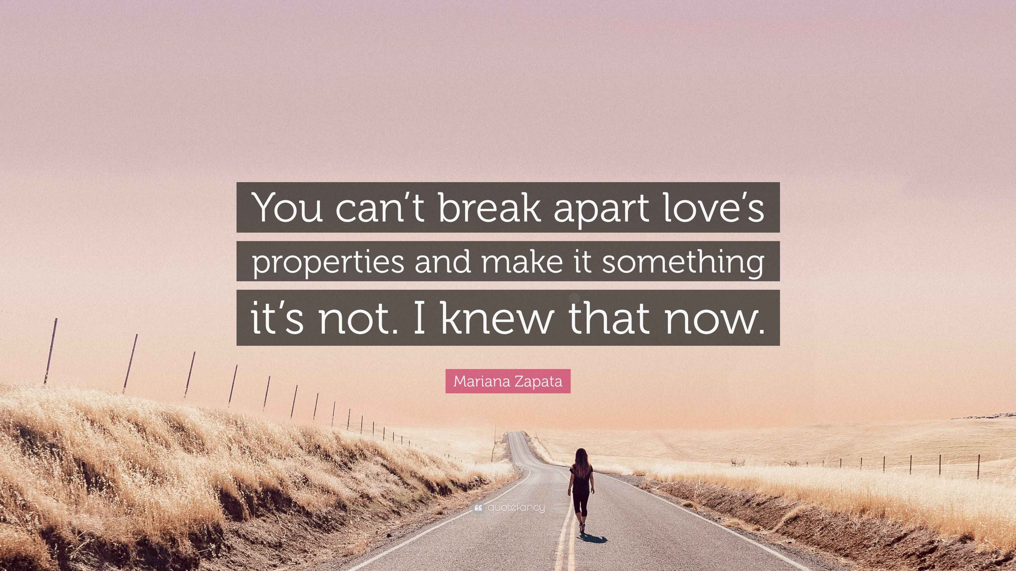 Mariana Zapata Quote: “You can’t break apart love’s properties and make ...
