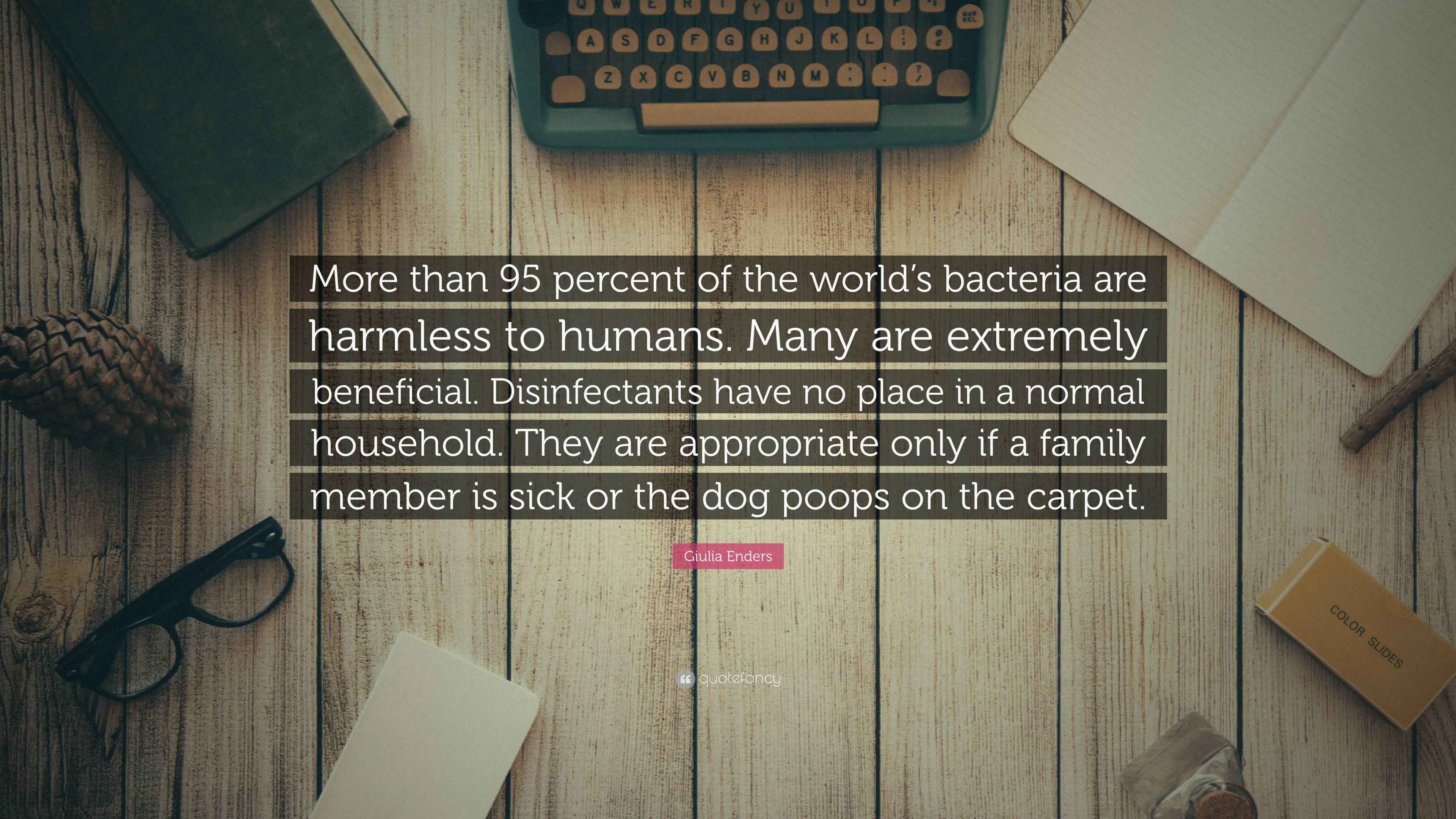 Giulia Enders Quote: “More than 95 percent of the world’s bacteria are ...