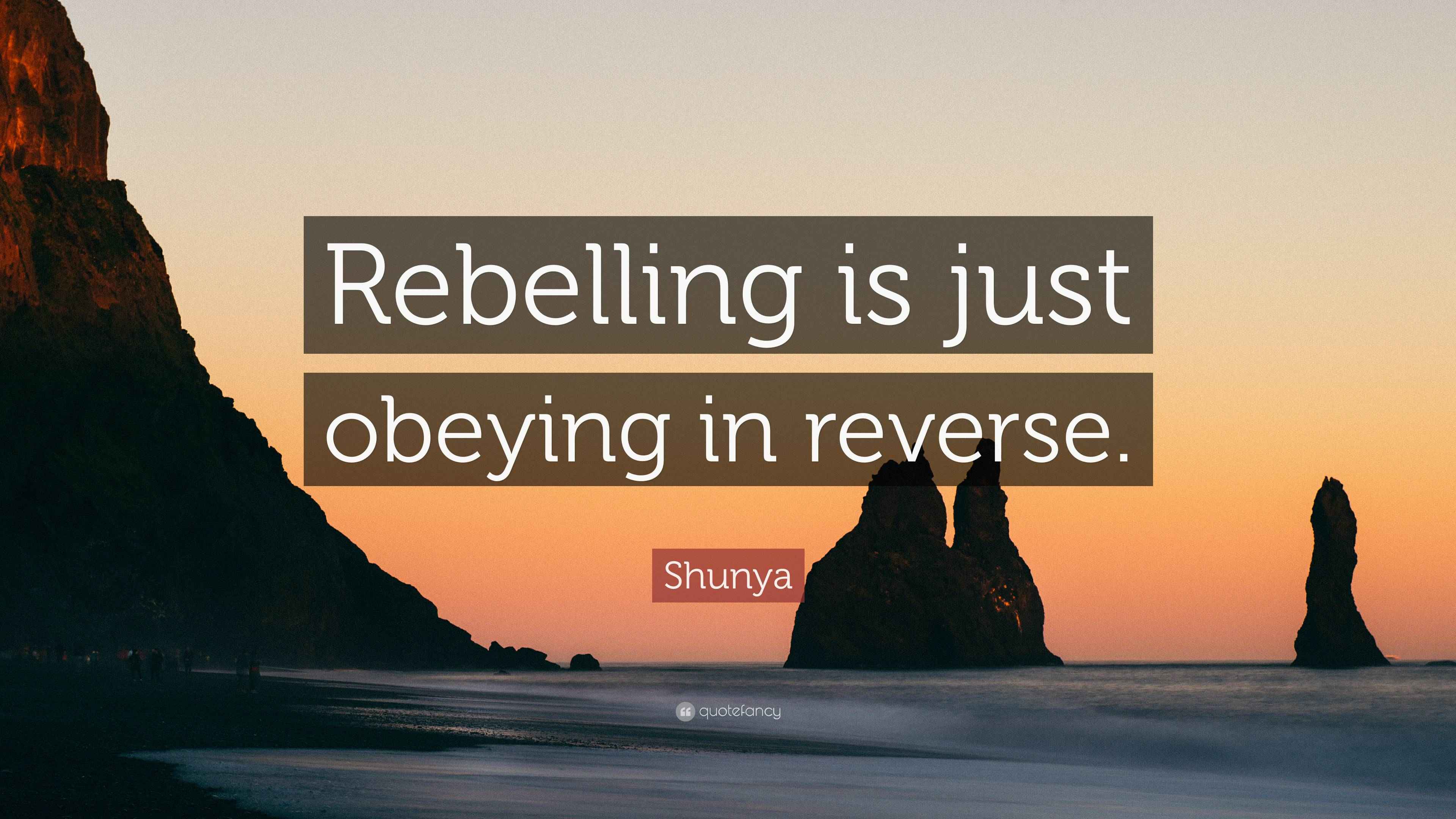 Shunya Quote: “Rebelling is just obeying in reverse.”