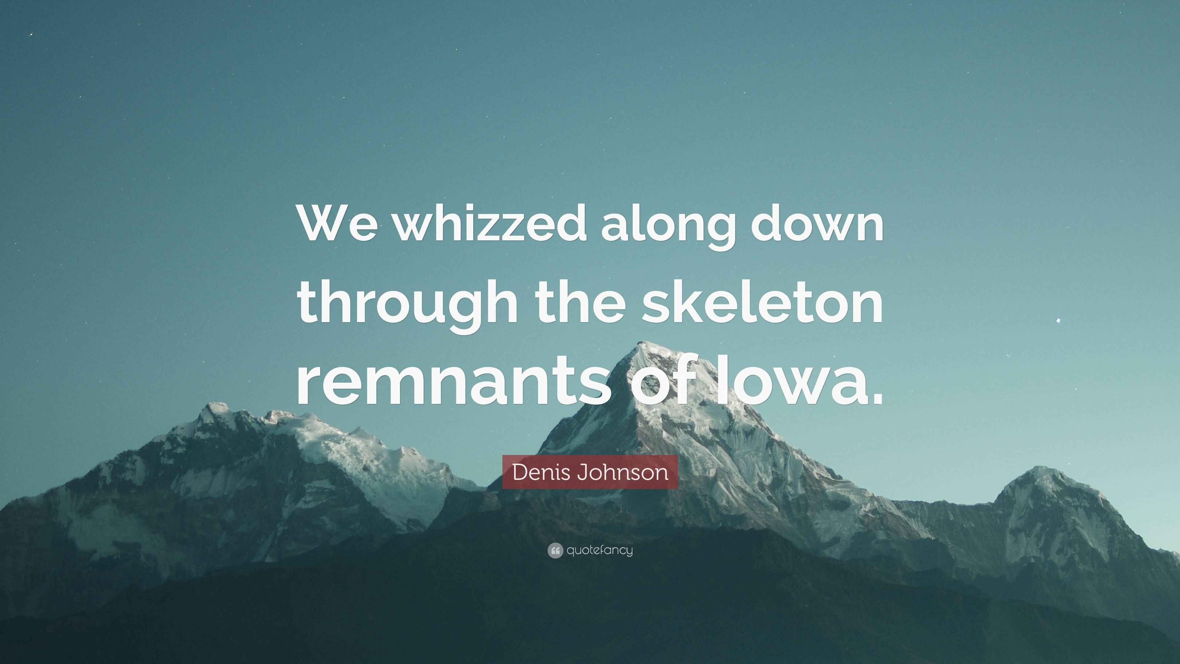 Denis Johnson Quote: “We whizzed along down through the skeleton ...