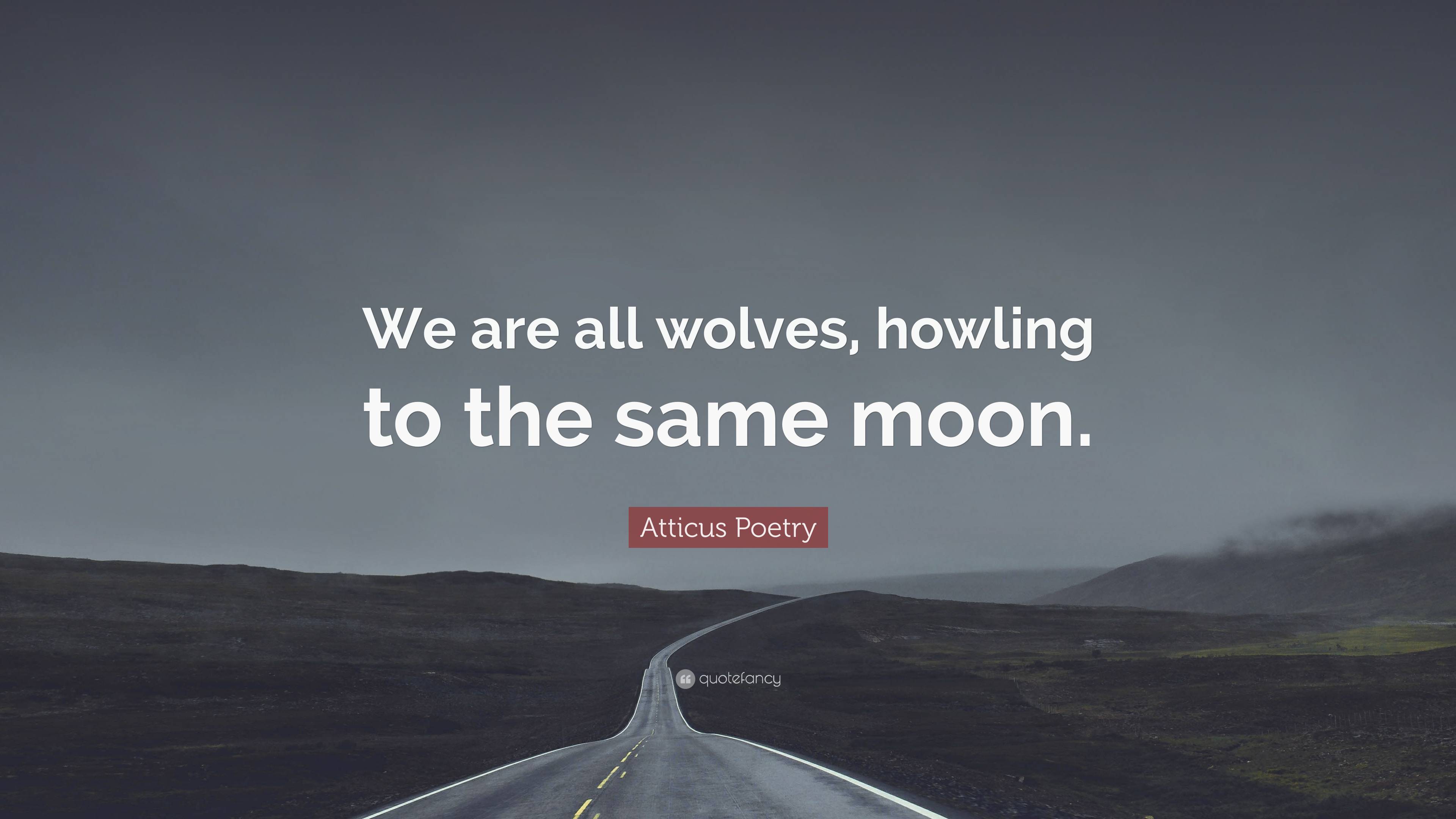 Atticus Poetry Quote: “We are all wolves, howling to the same moon.”