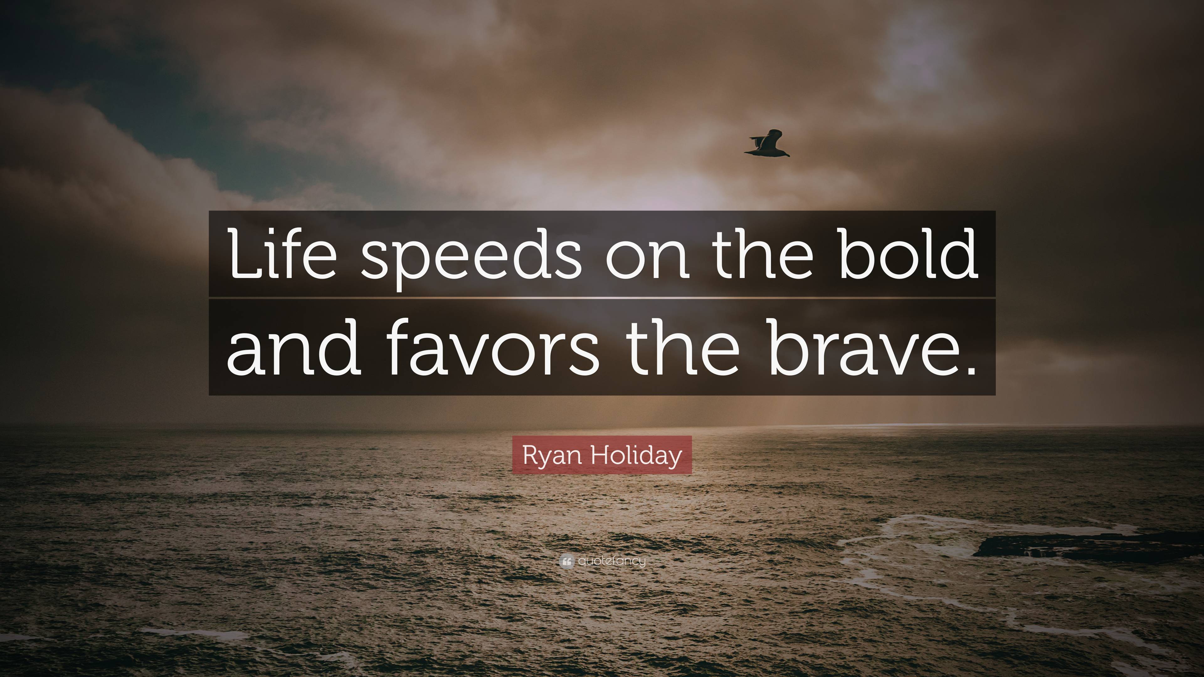 Ryan Holiday Quote: “Life speeds on the bold and favors the brave.”