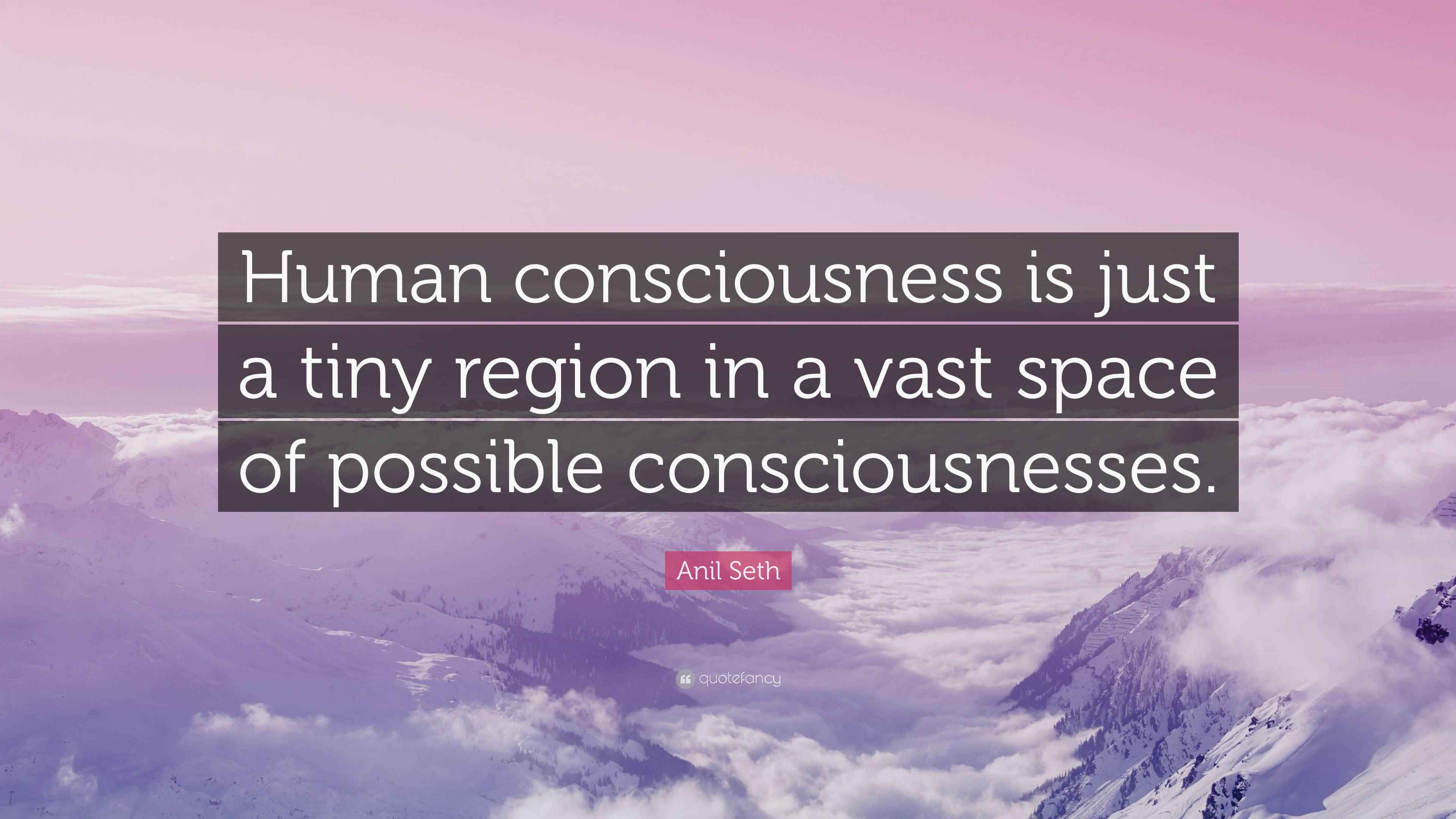 Anil Seth Quote: “Human consciousness is just a tiny region in a vast ...