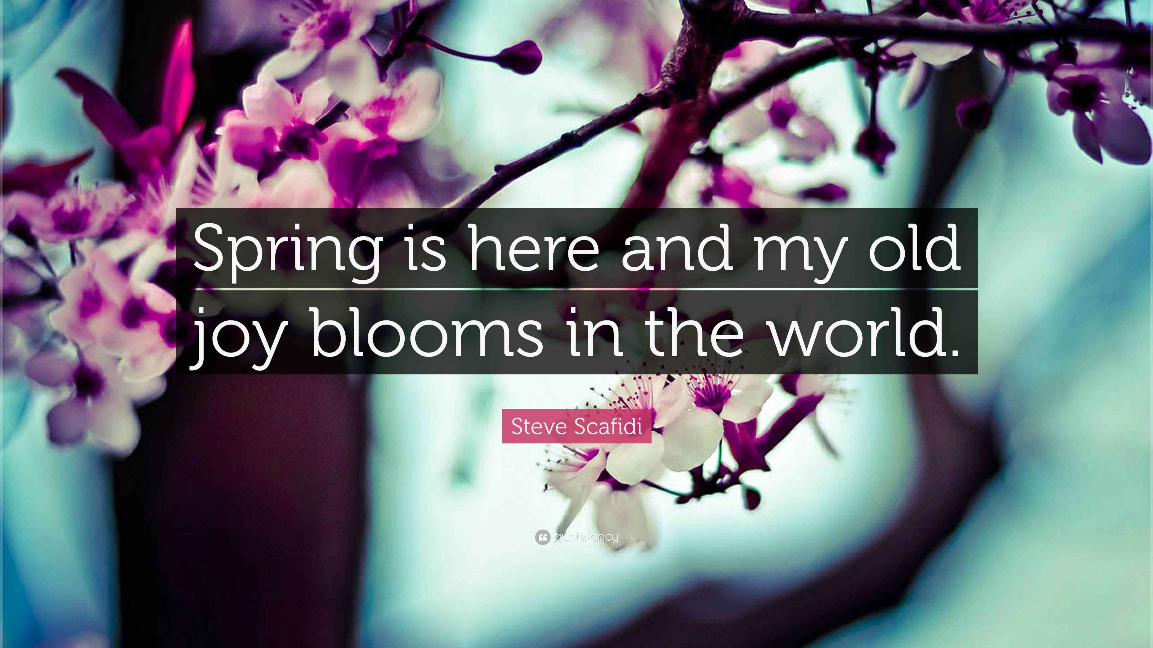 Steve Scafidi Quote: “Spring is here and my old joy blooms in the world.”