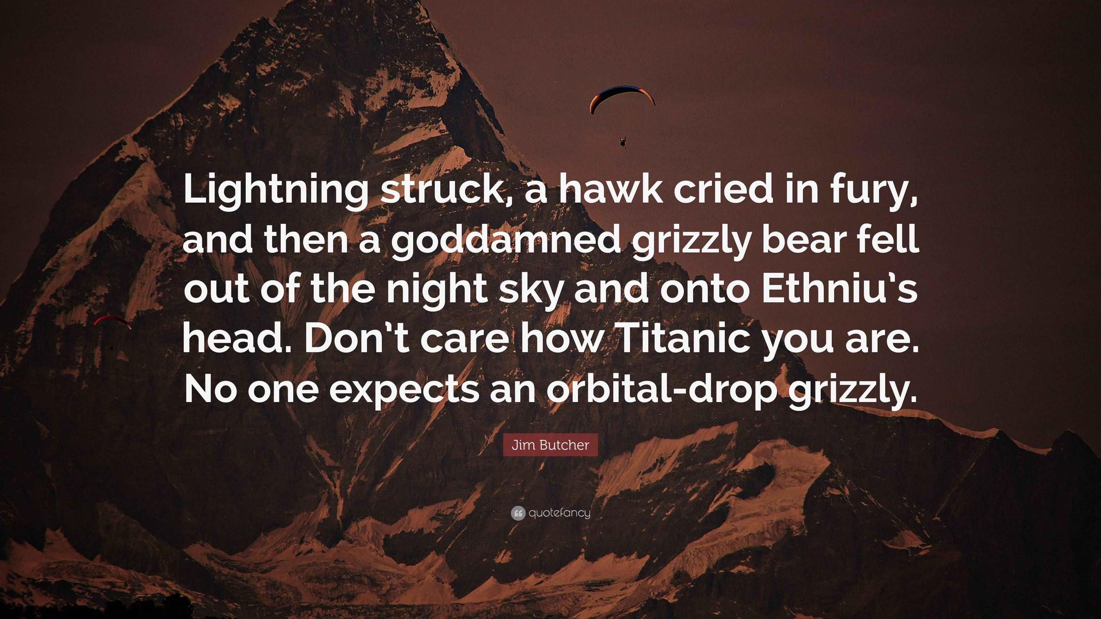 Jim Butcher Quote: “Lightning struck, a hawk cried in fury, and then a ...