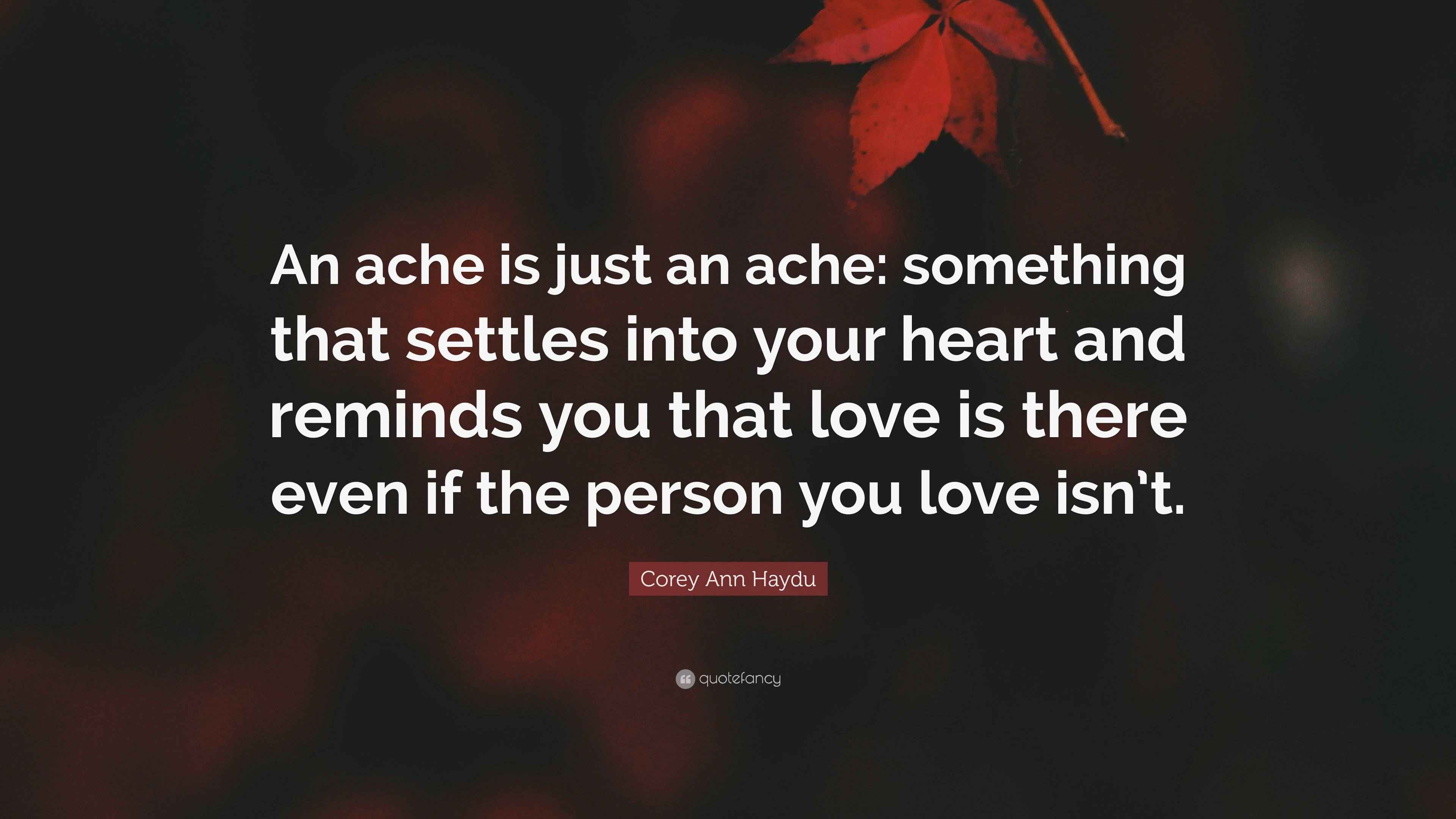 Corey Ann Haydu Quote: “An ache is just an ache: something that settles ...