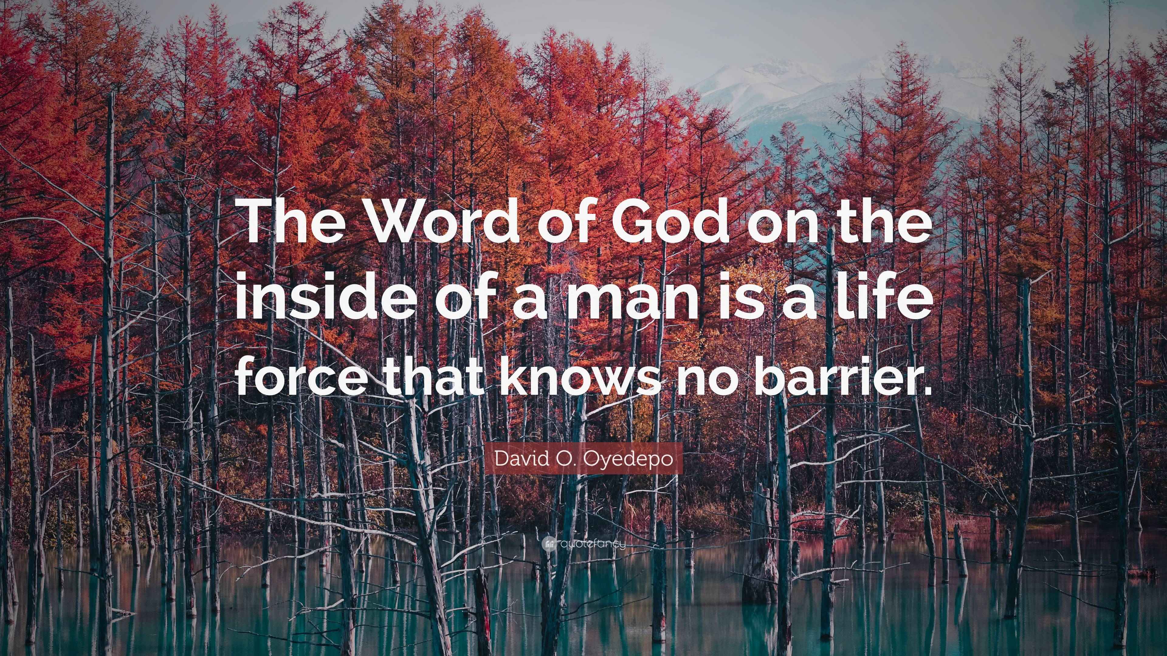 David O. Oyedepo Quote: “The Word of God on the inside of a man is a ...