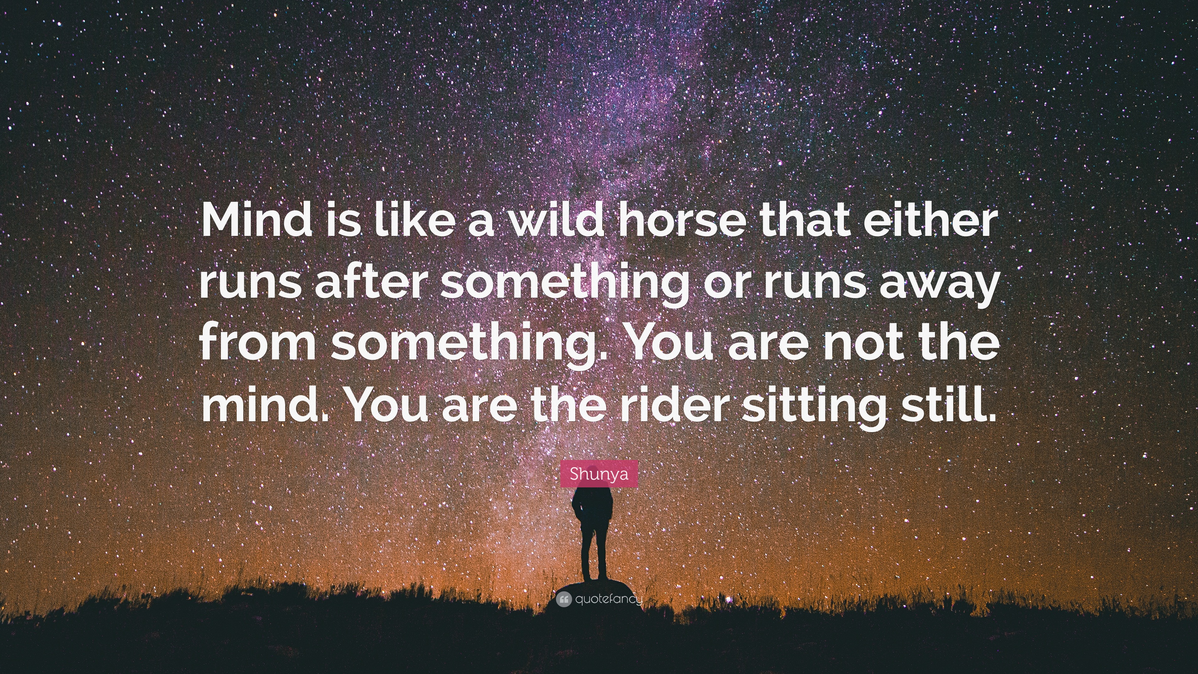 Shunya Quote: “Mind is like a wild horse that either runs after ...
