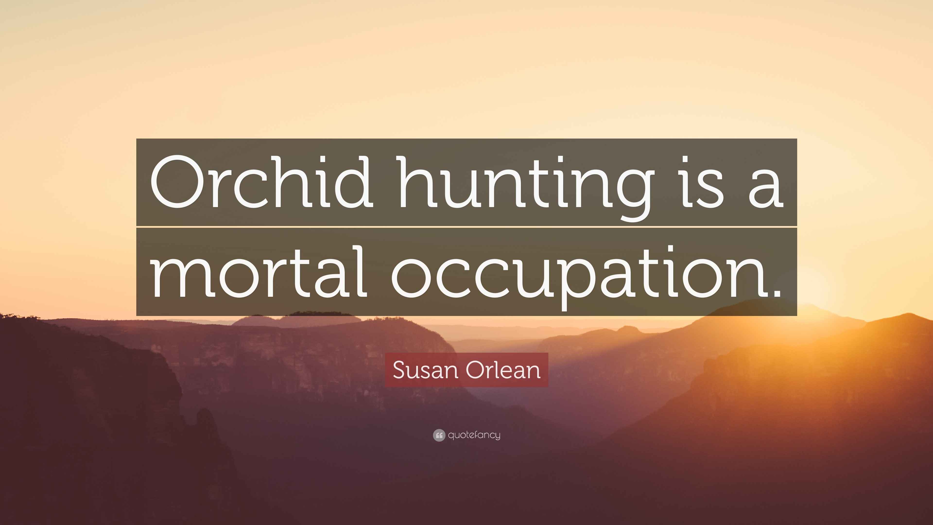 Susan Orlean Quote: “Orchid hunting is a mortal occupation.”