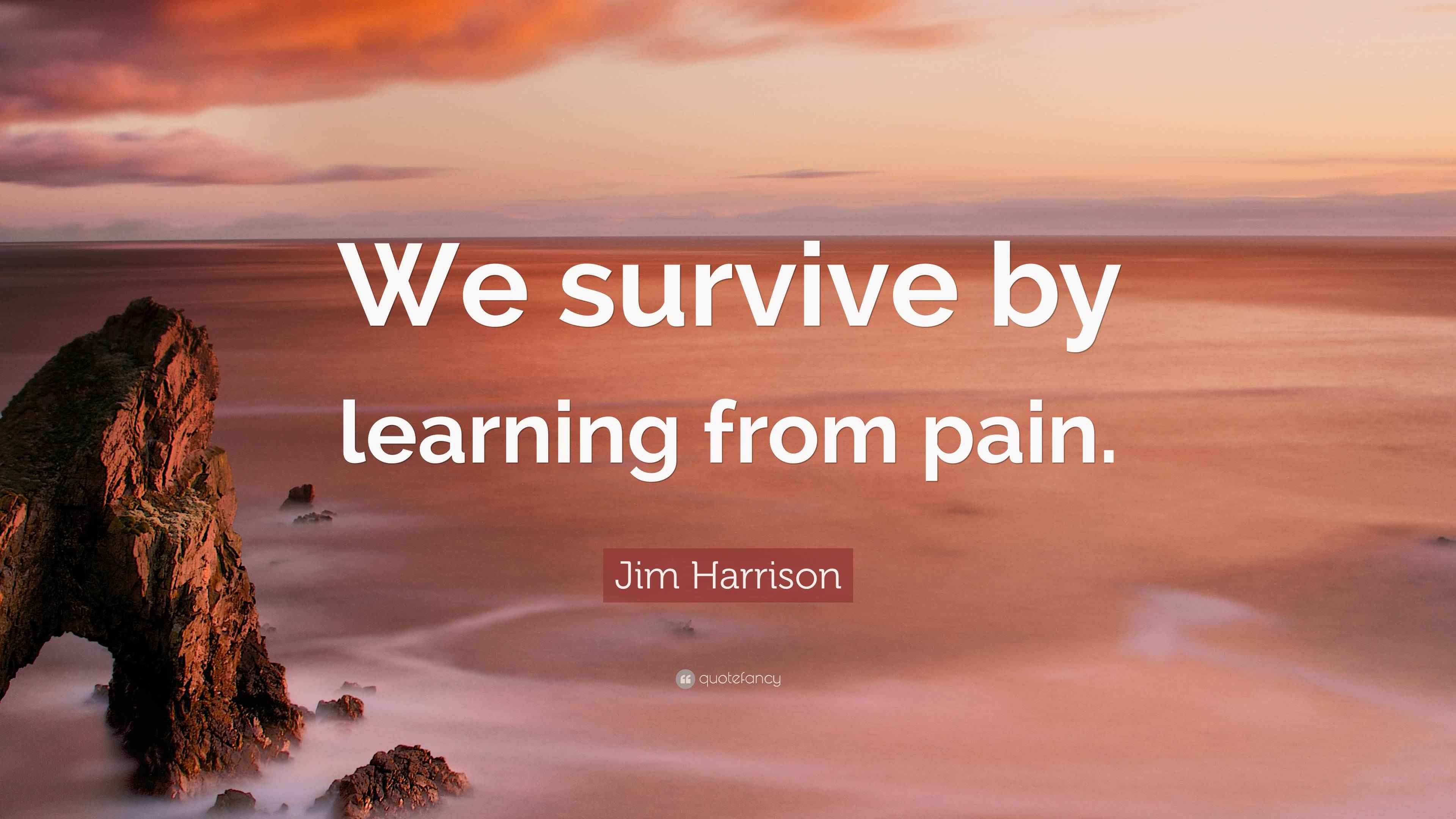 Jim Harrison Quote: “We survive by learning from pain.”