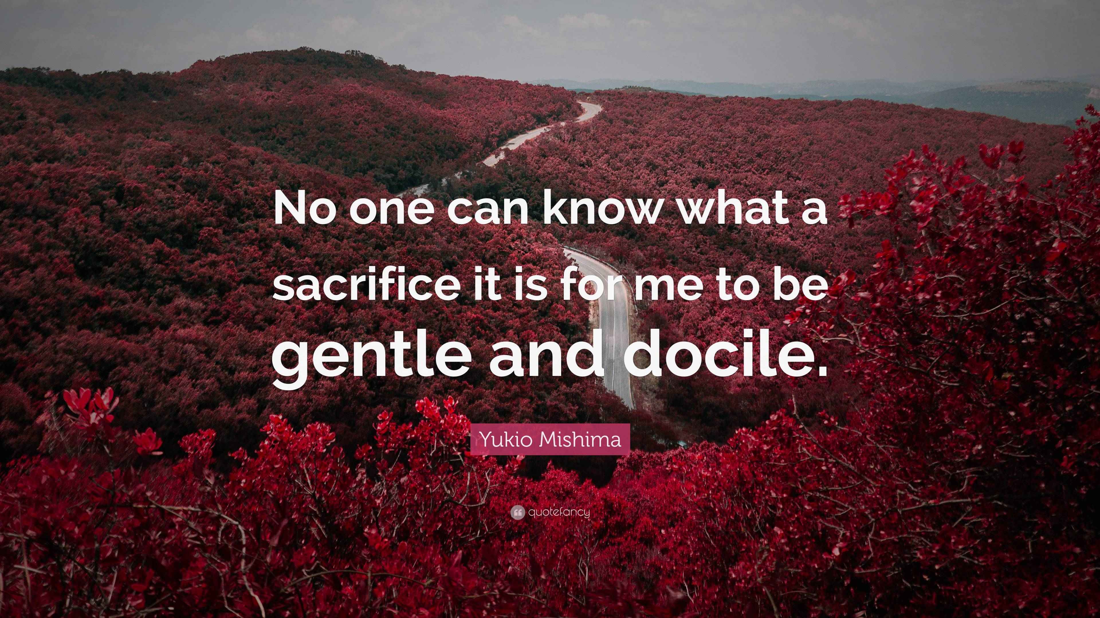 Yukio Mishima Quote: “No one can know what a sacrifice it is for me to ...