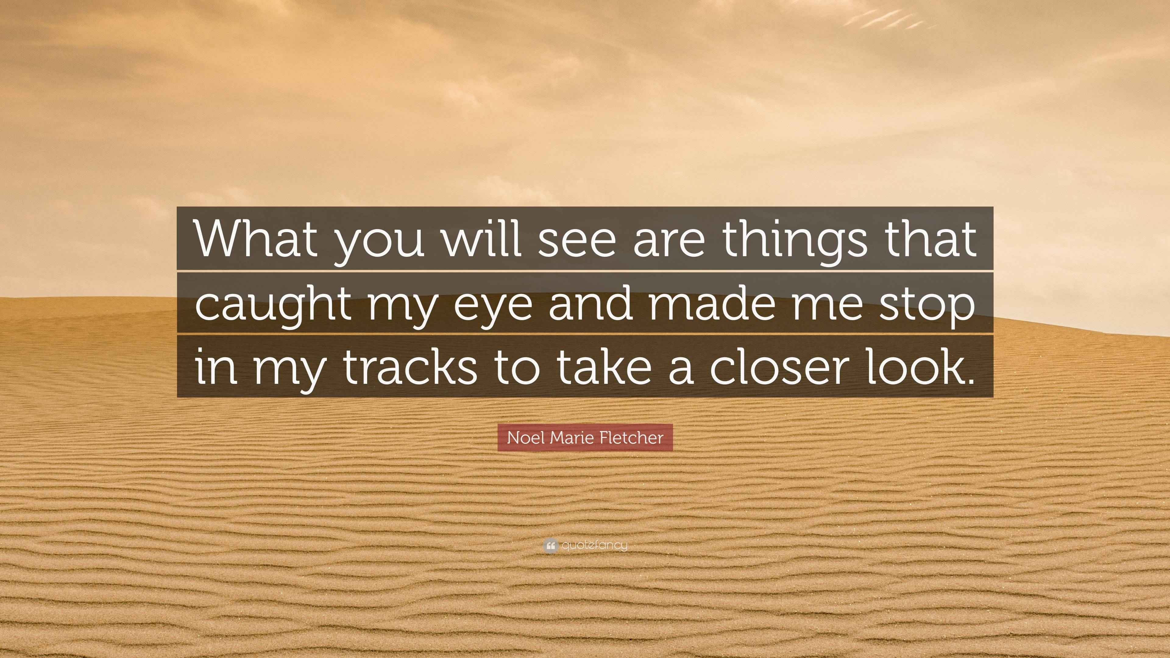 Now You See Me Quotes The Closer You Look