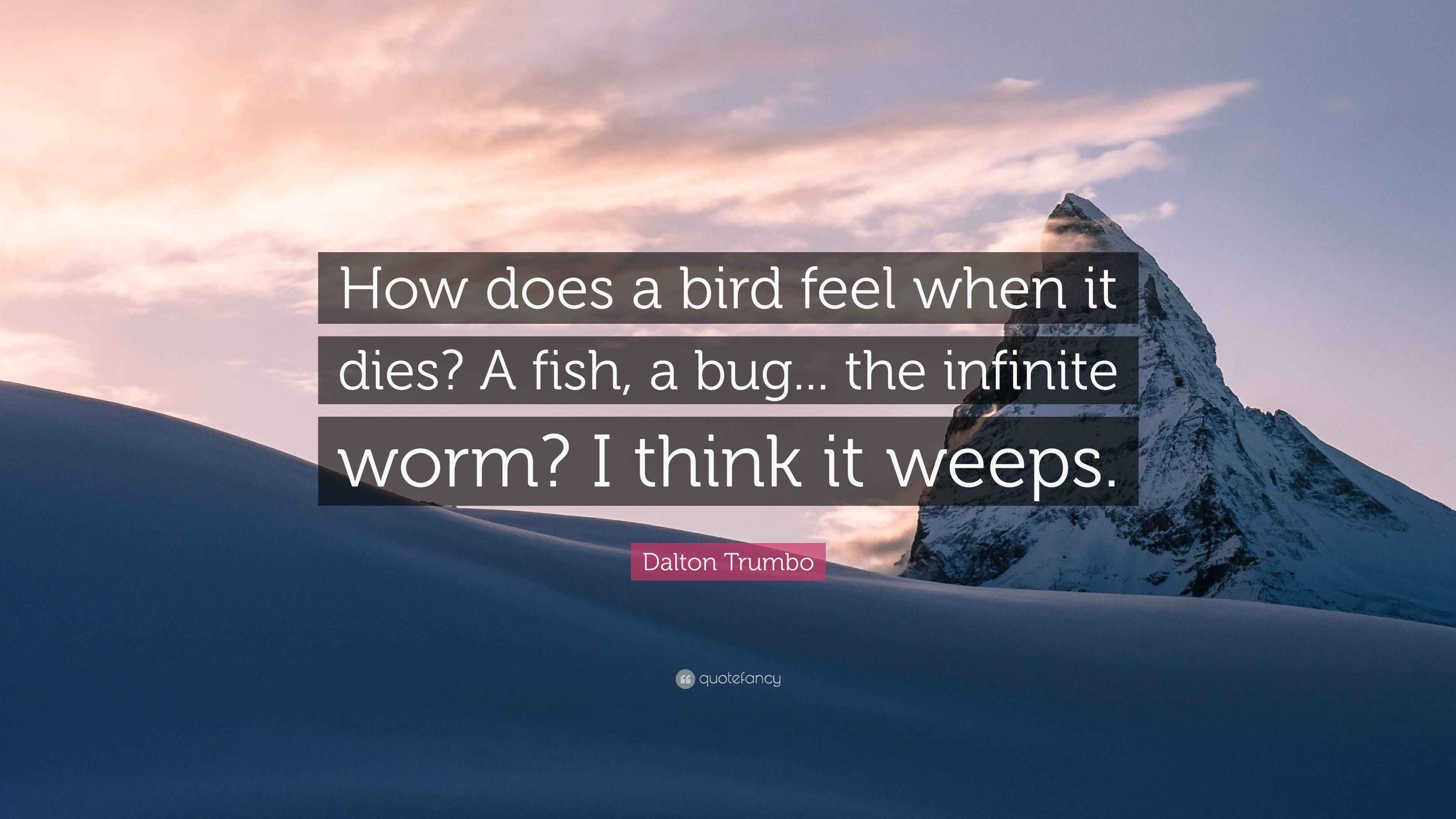 Dalton Trumbo Quote: “How does a bird feel when it dies? A fish, a bug ...