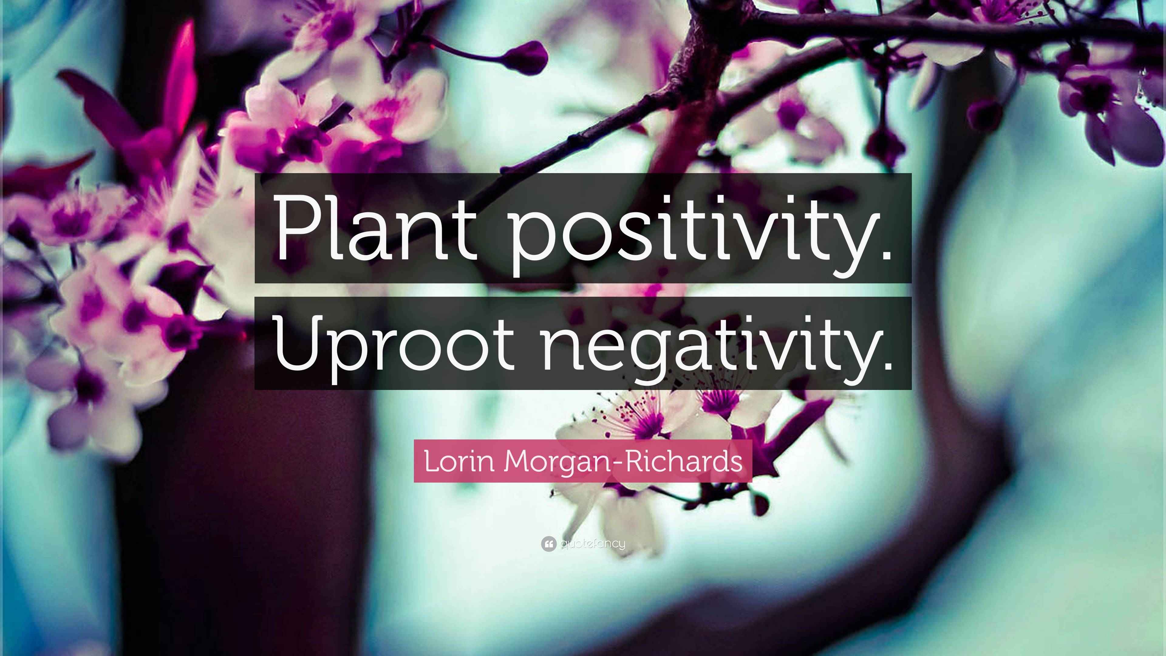 Lorin Morgan-Richards Quote: “Plant positivity. Uproot negativity.”