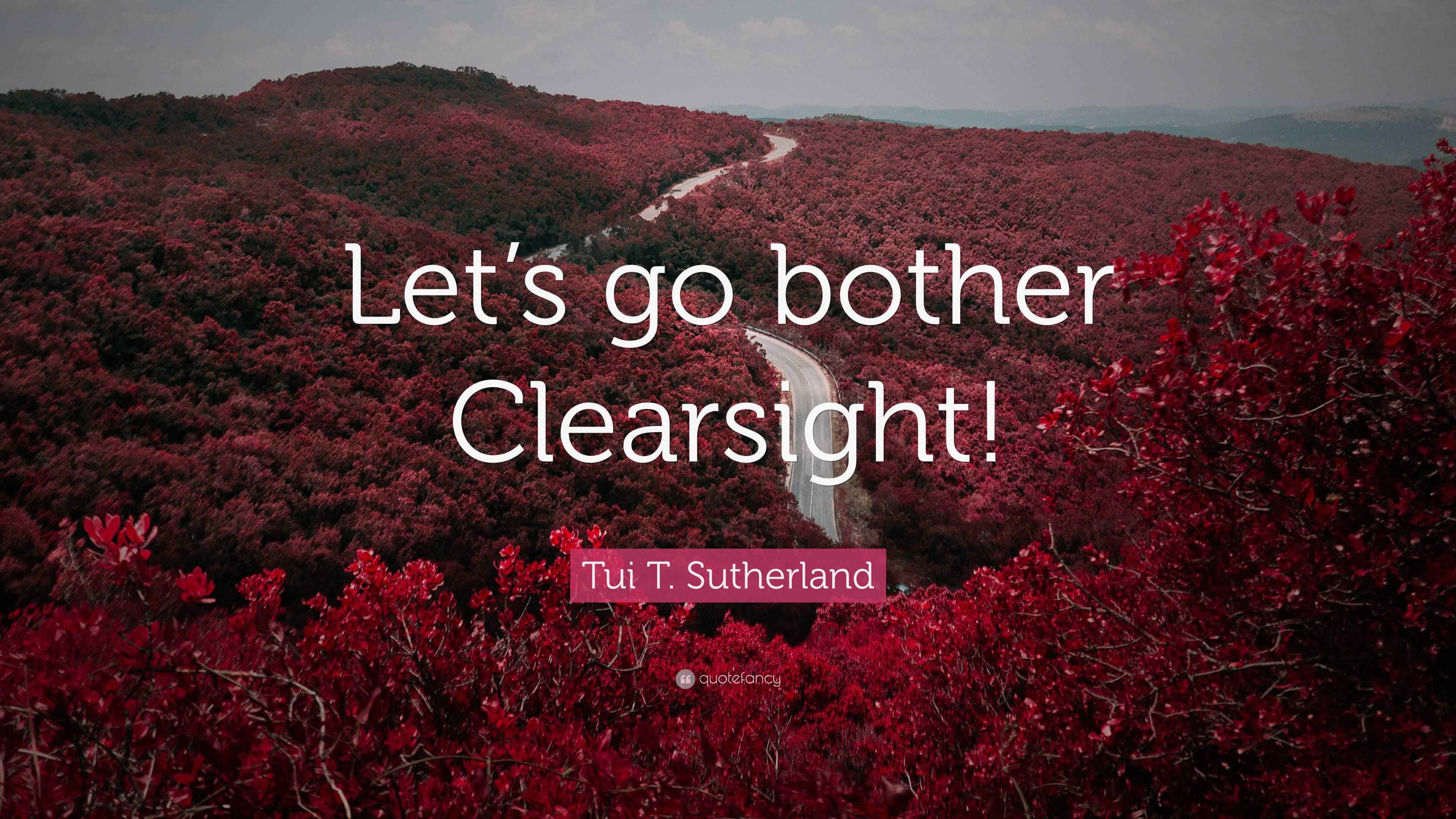 Tui T. Sutherland Quote: “Let’s go bother Clearsight!”