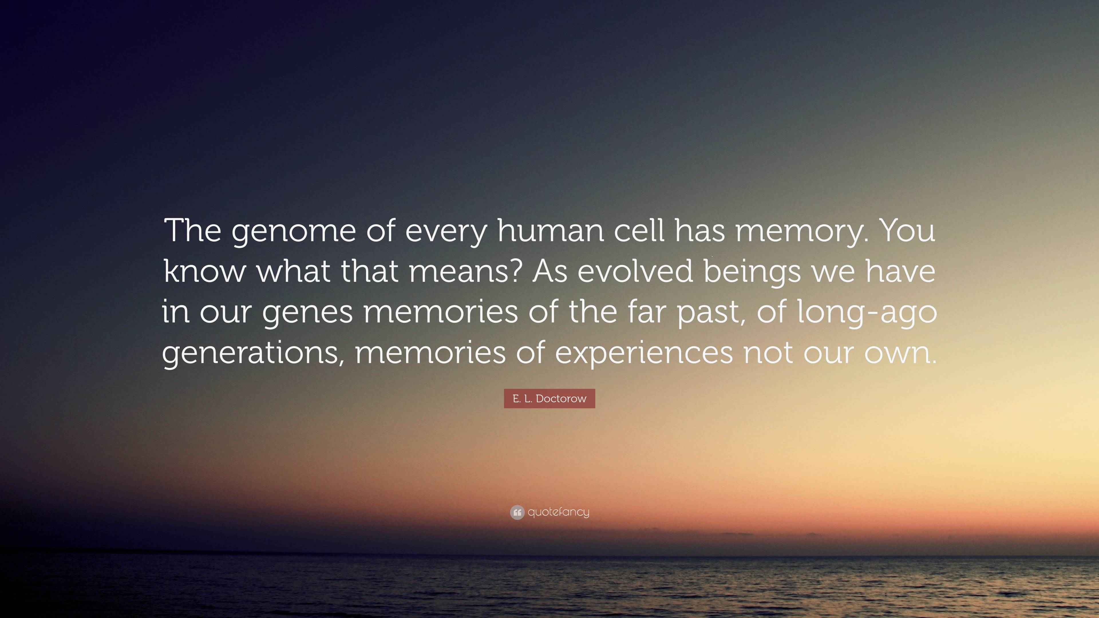 E. L. Doctorow Quote: “The genome of every human cell has memory. You ...