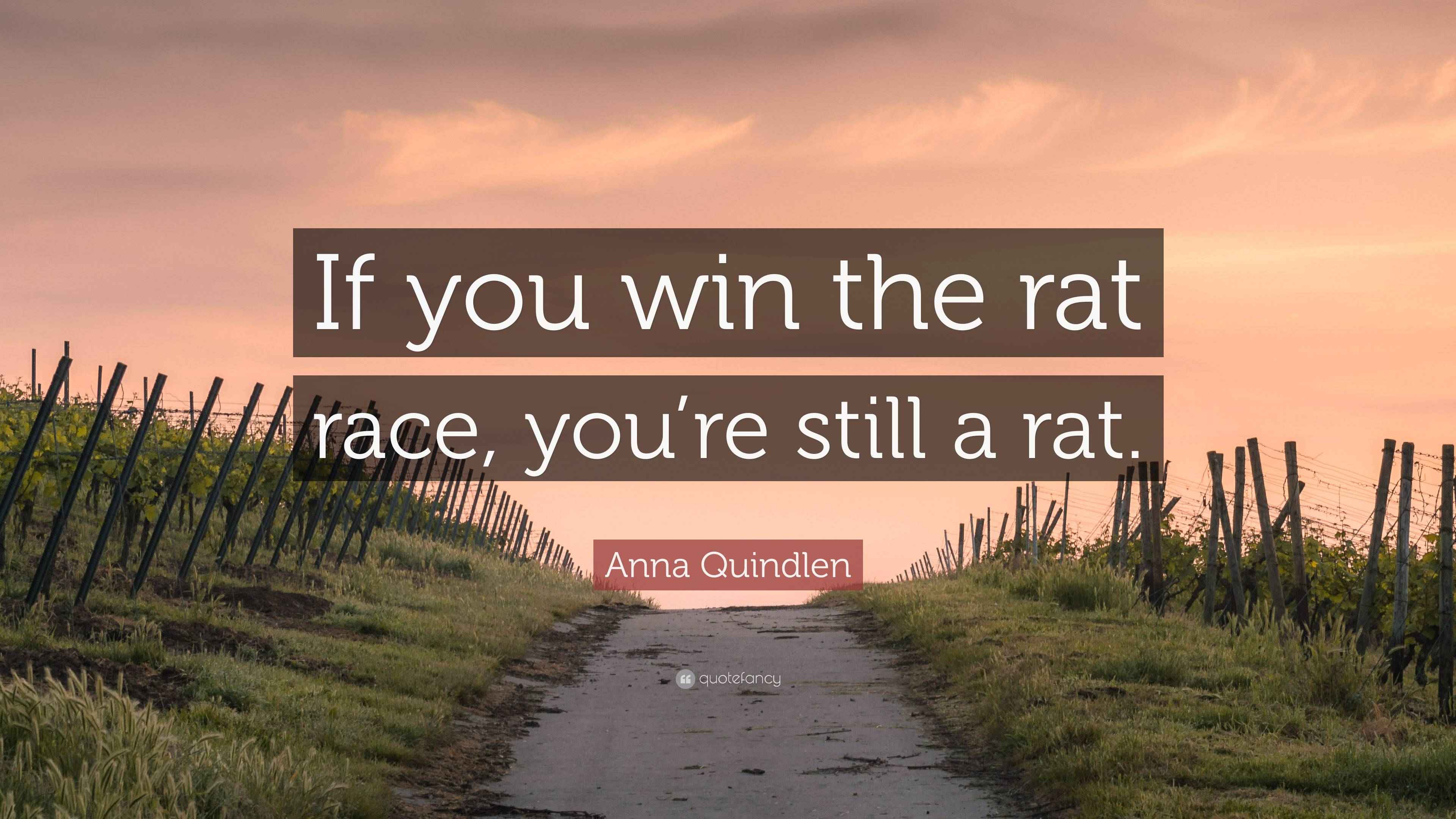 Anna Quindlen Quote: “If you win the rat race, you’re still a rat.”