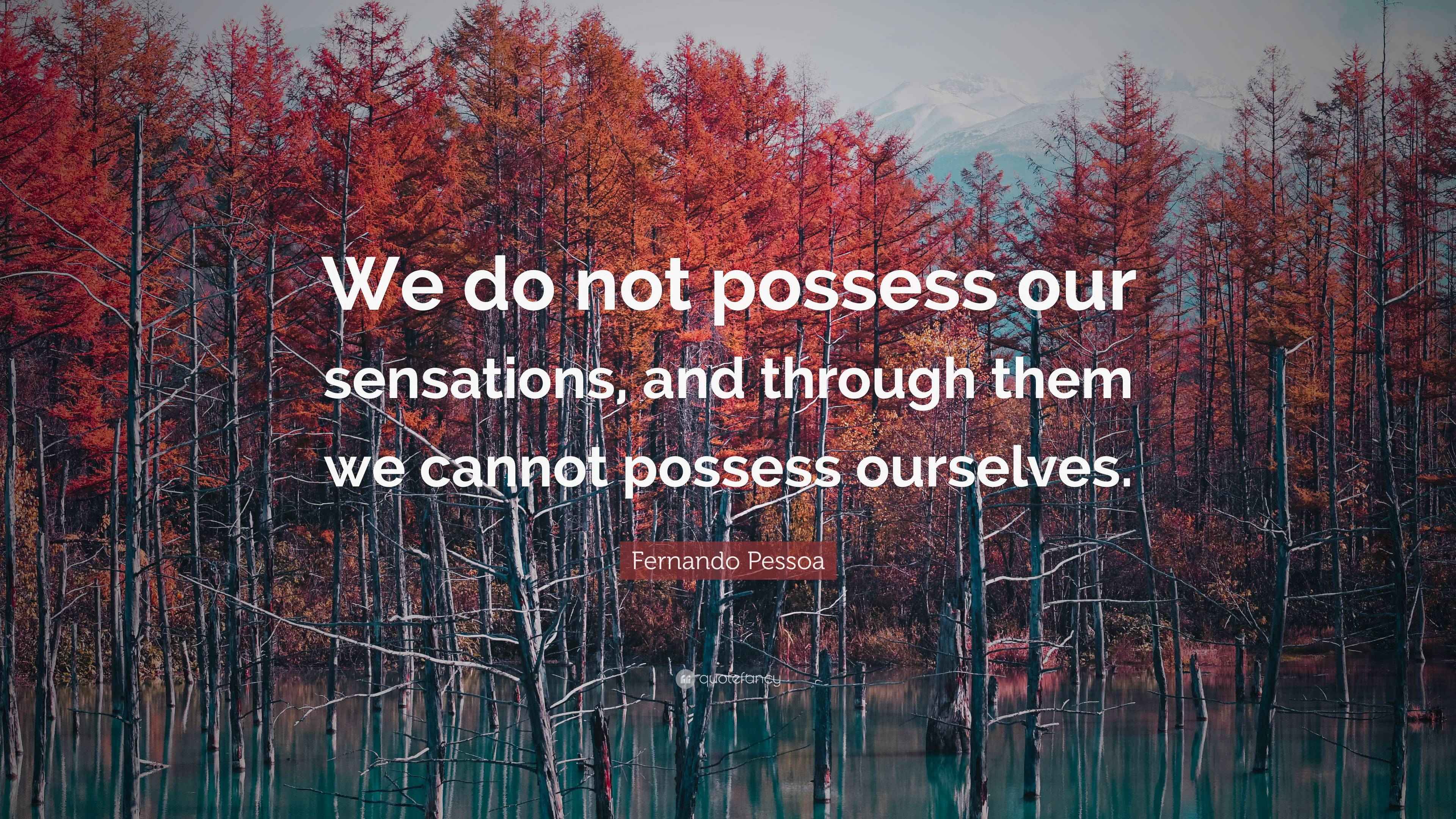 Fernando Pessoa Quote: “We do not possess our sensations, and through ...