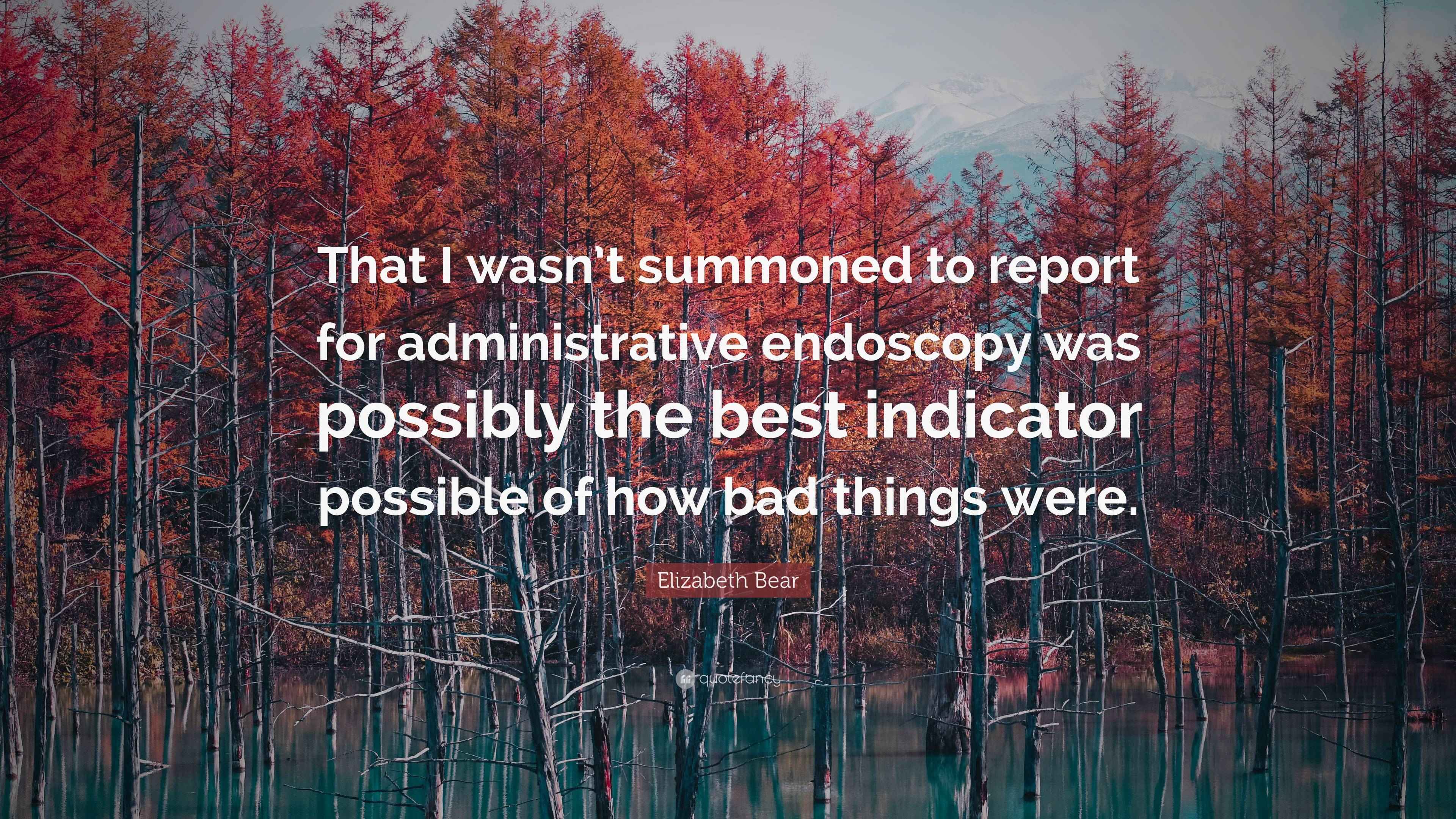 Elizabeth Bear Quote: “That I wasn’t summoned to report for ...