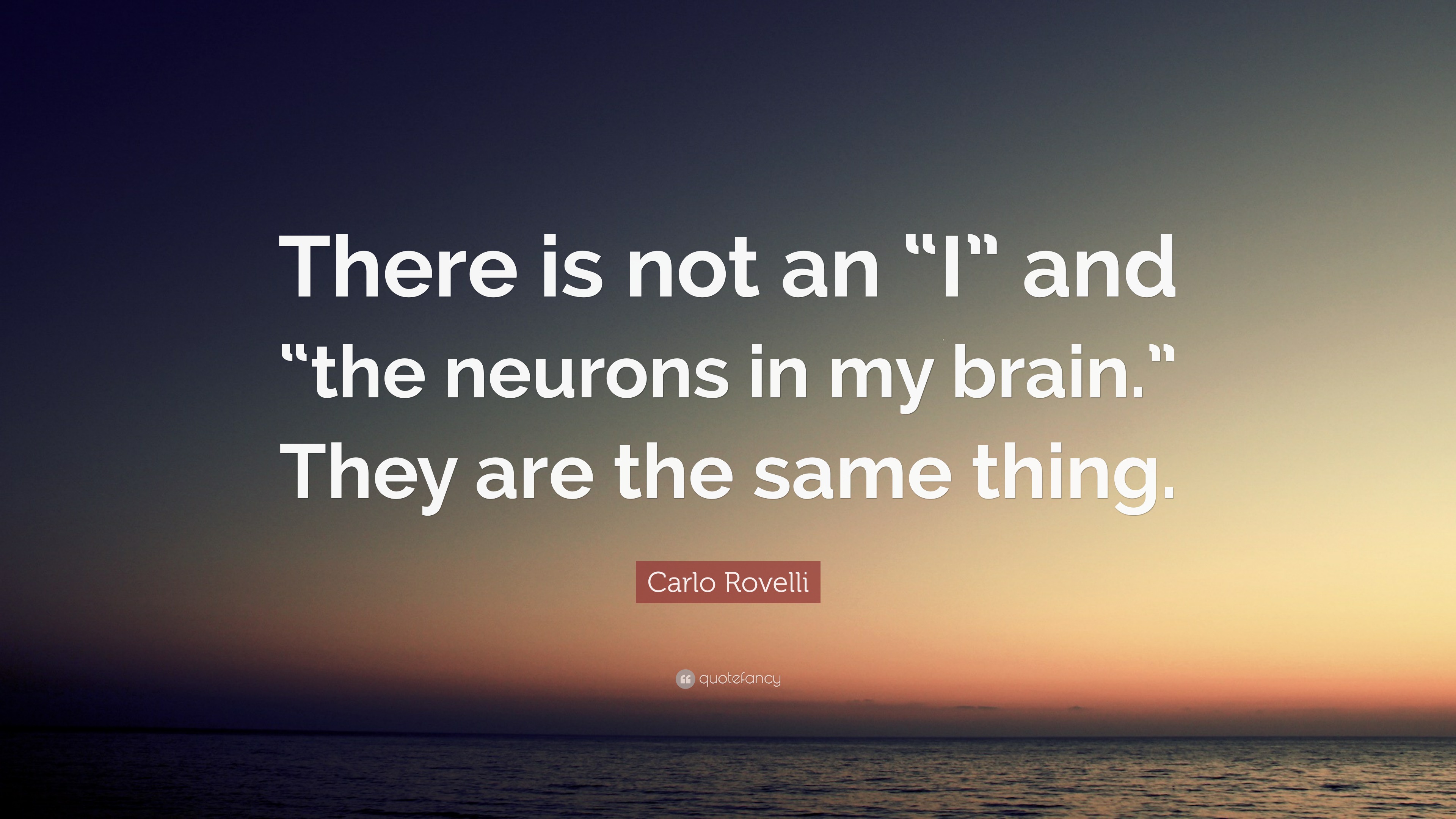 Carlo Rovelli Quote: “There is not an “I” and “the neurons in my brain ...