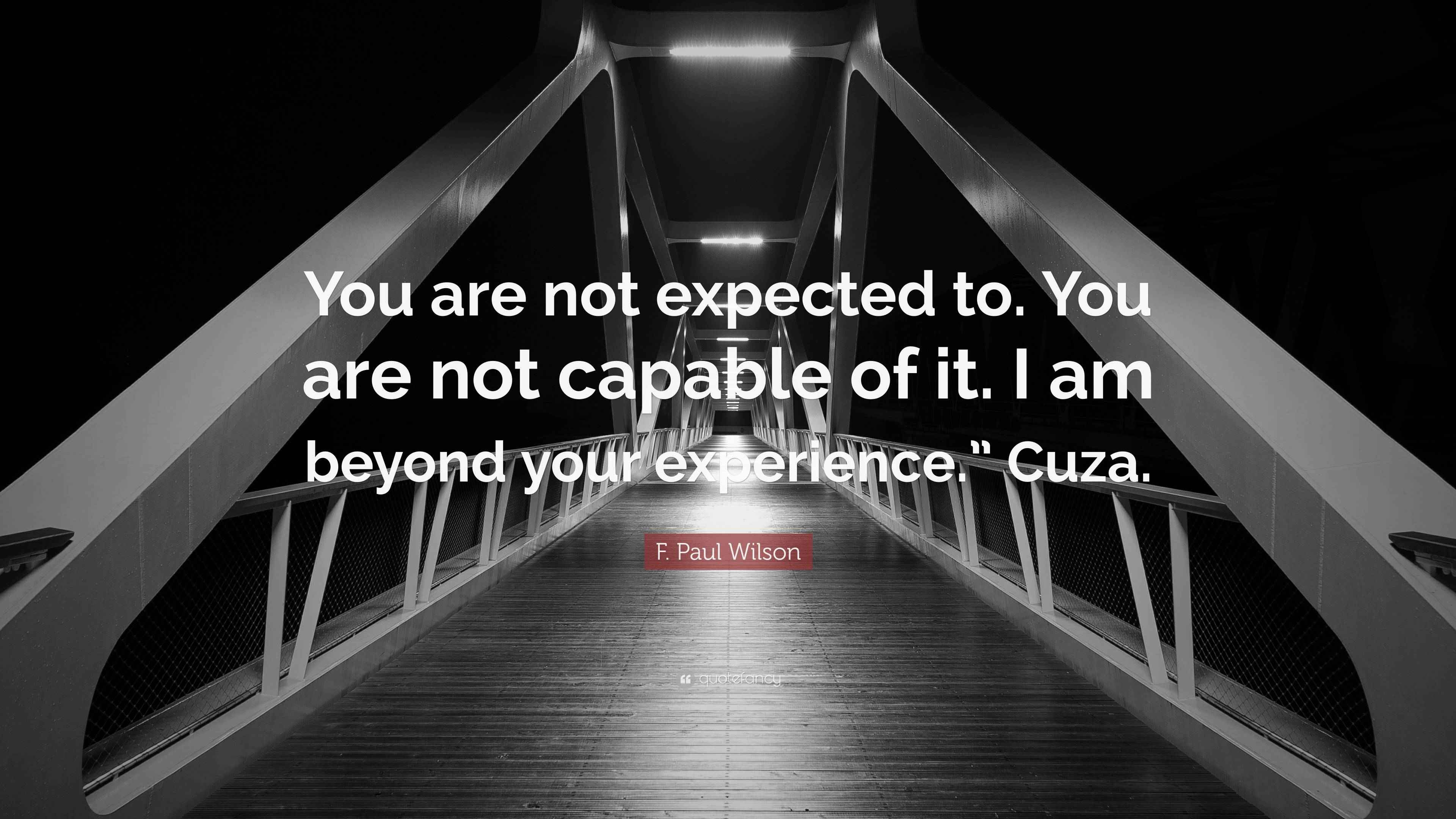 F. Paul Wilson Quote: “You are not expected to. You are not capable of ...