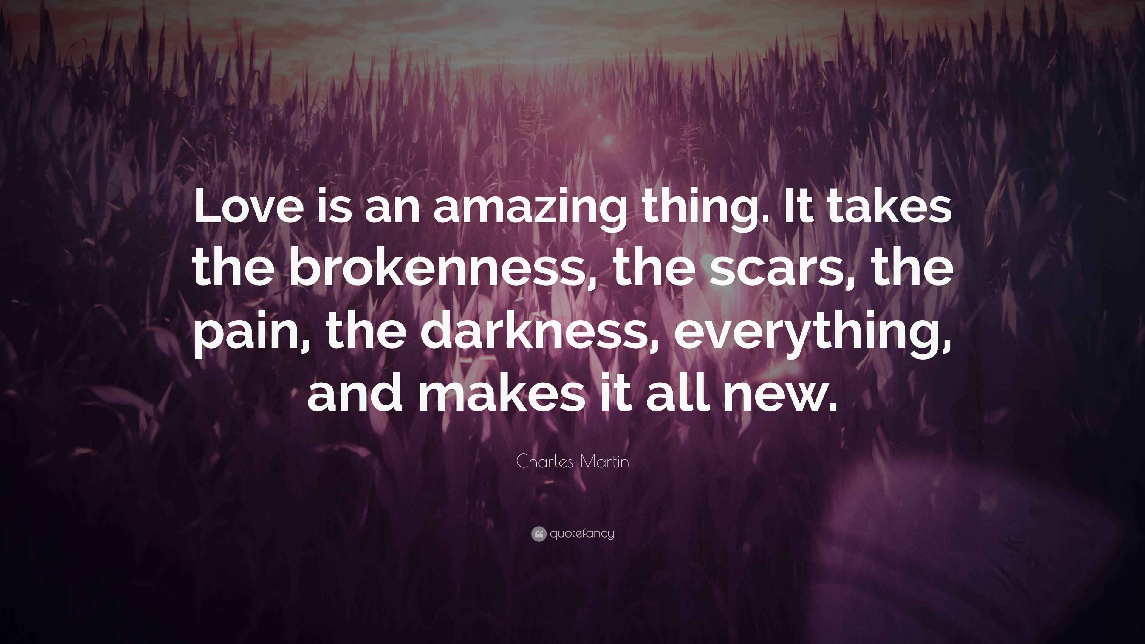 Charles Martin Quote: “Love is an amazing thing. It takes the ...