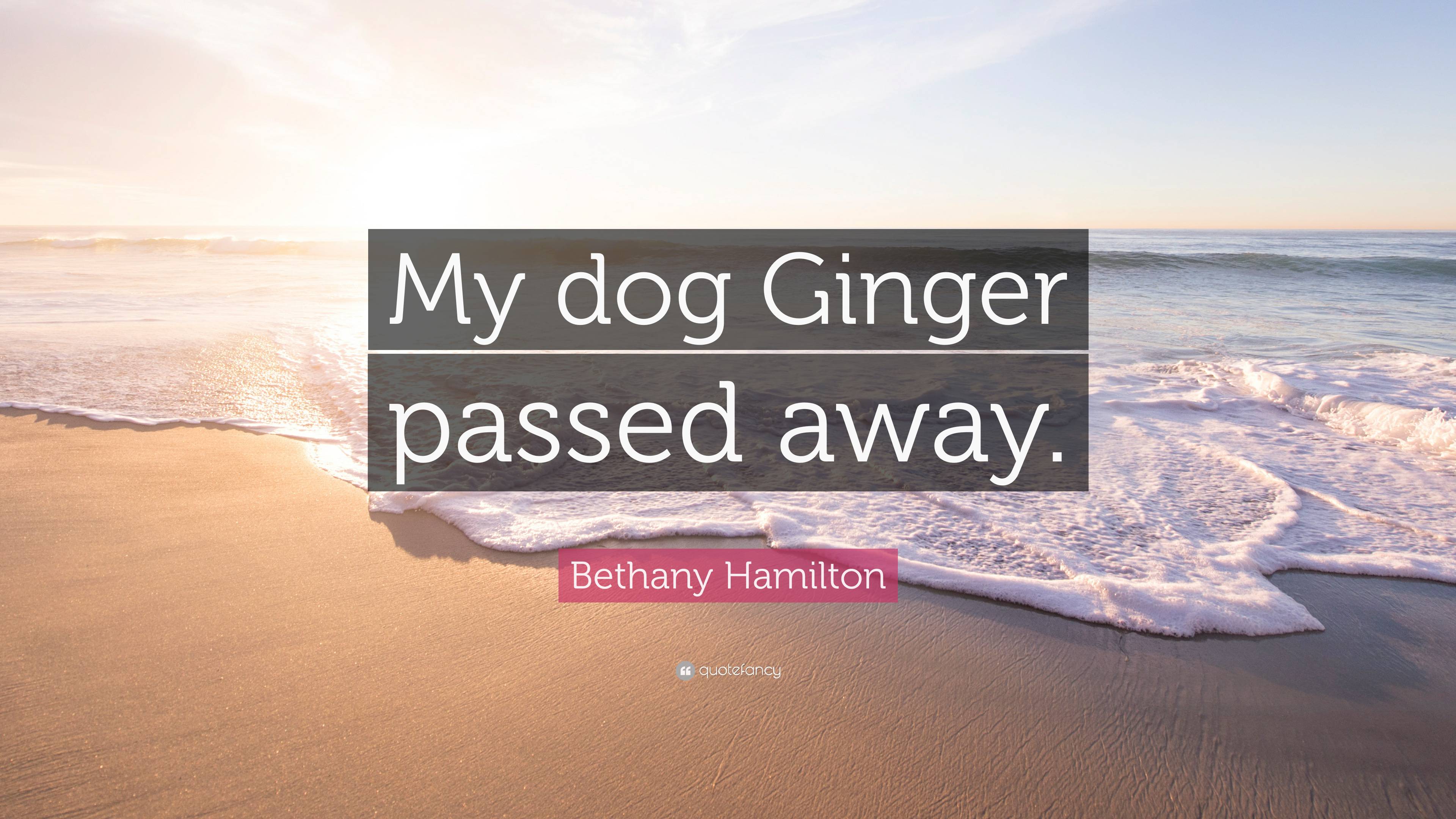 Bethany Hamilton Quote: “My dog Ginger passed away.”