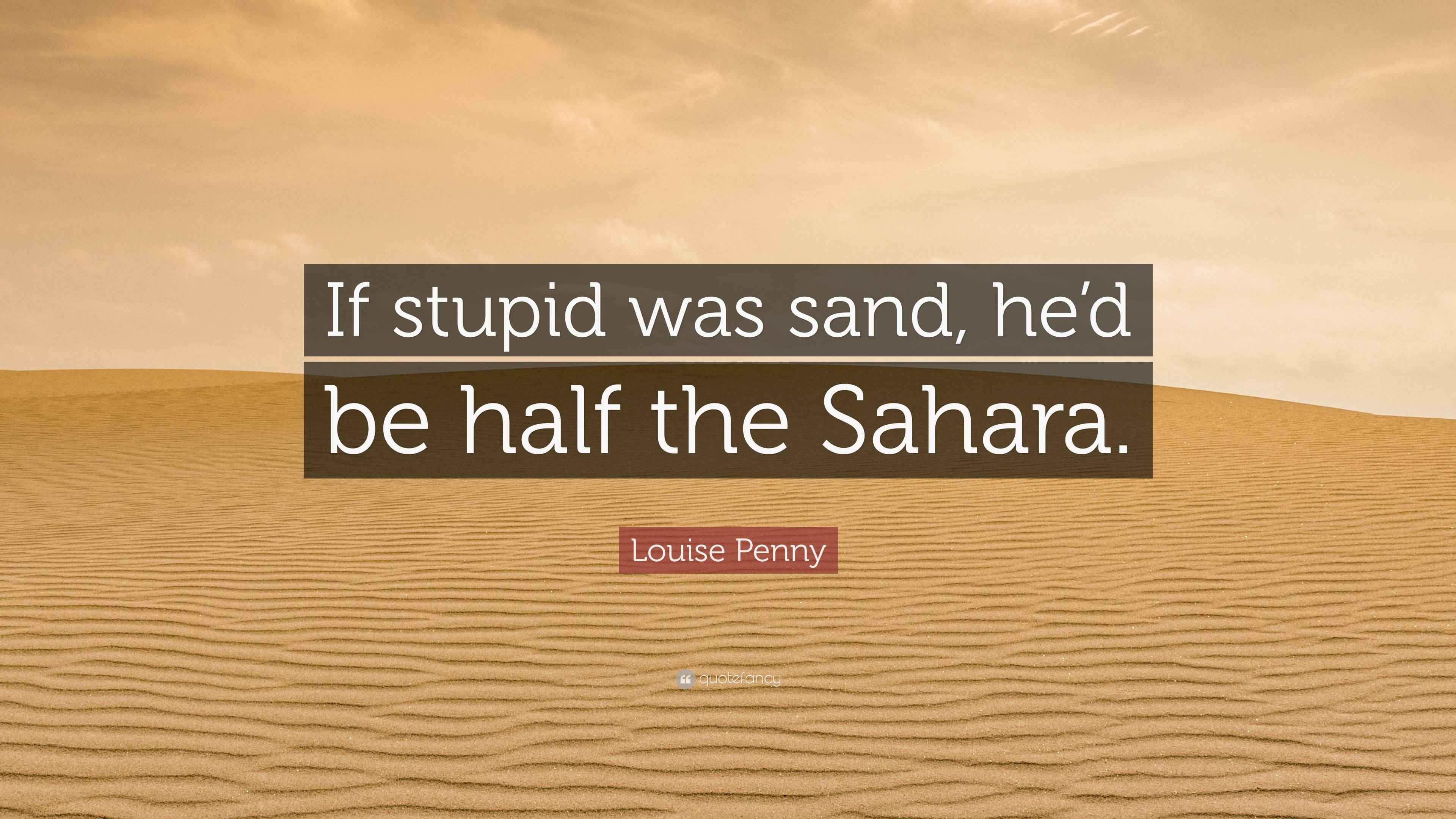 Louise Penny Quote: “If stupid was sand, he’d be half the Sahara.”