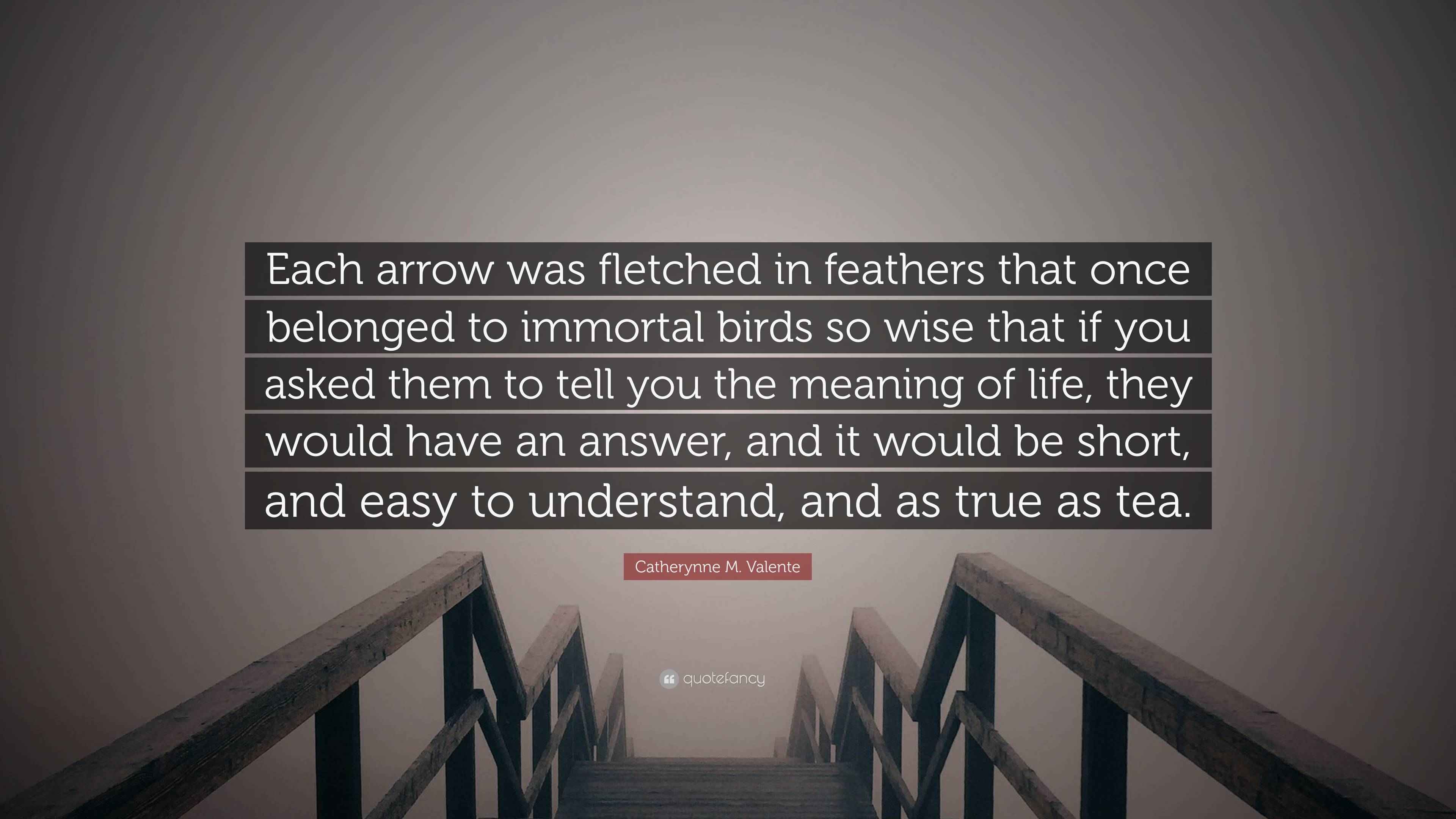 Catherynne M. Valente Quote: “Each arrow was fletched in feathers that ...