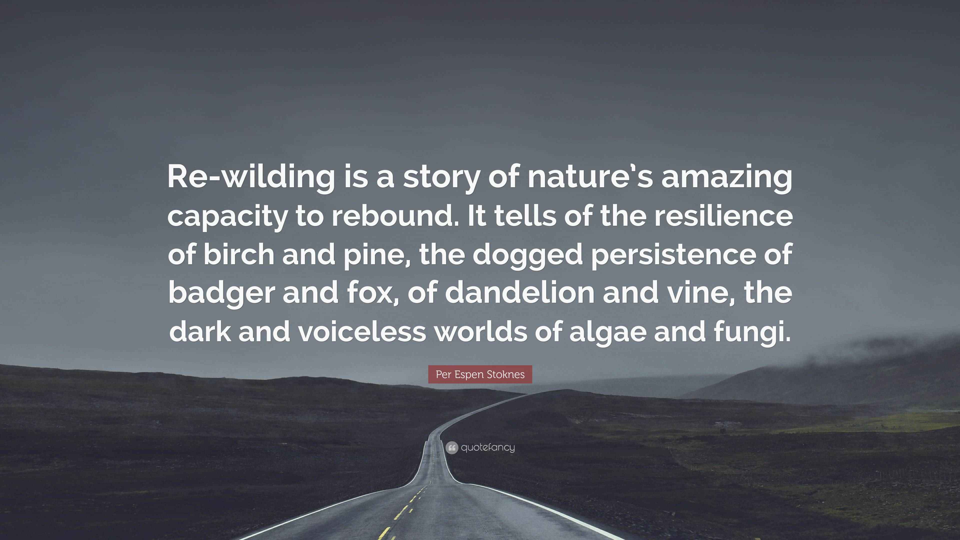 Per Espen Stoknes Quote: “Re-wilding is a story of nature’s amazing ...