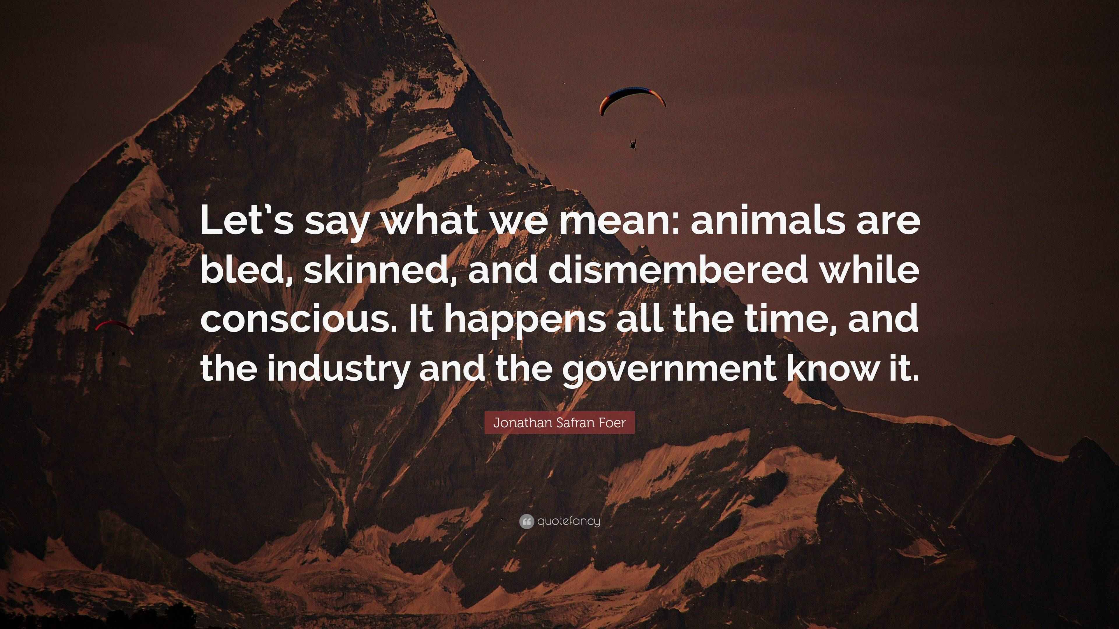 Jonathan Safran Foer Quote: “Let’s say what we mean: animals are bled ...