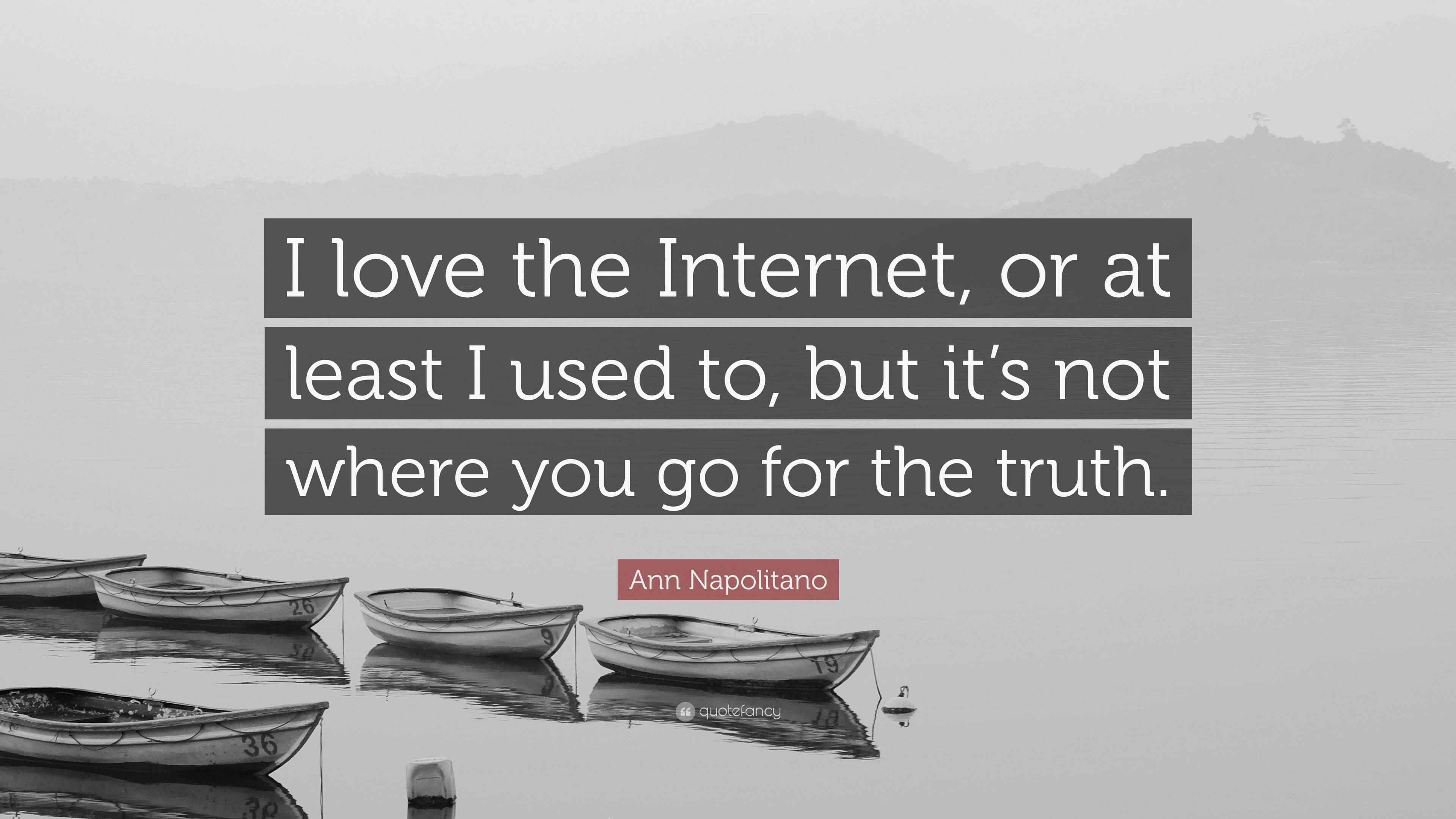 Ann Napolitano Quote: “I love the Internet, or at least I used to, but ...
