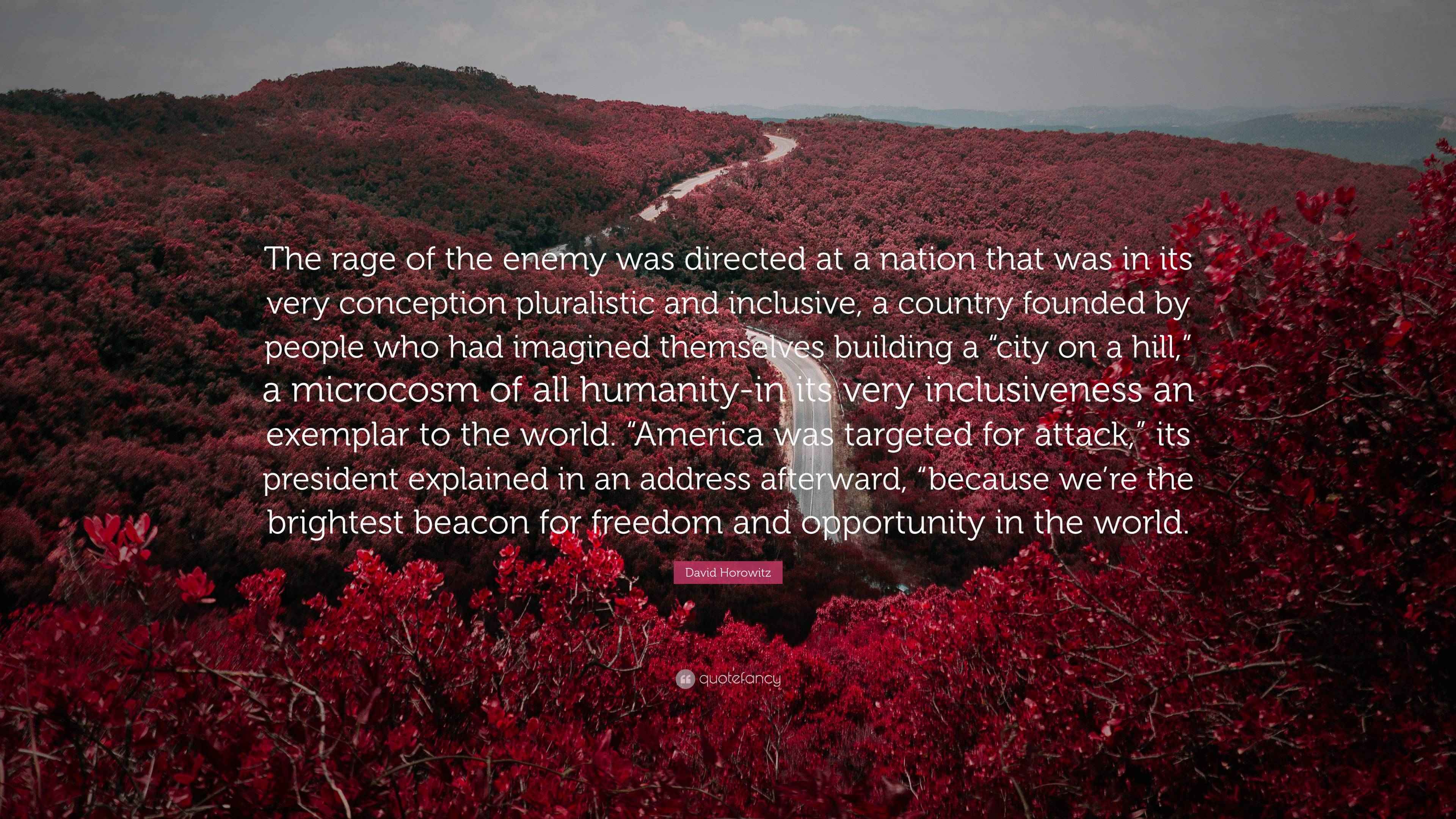 David Horowitz Quote: “The rage of the enemy was directed at a nation ...