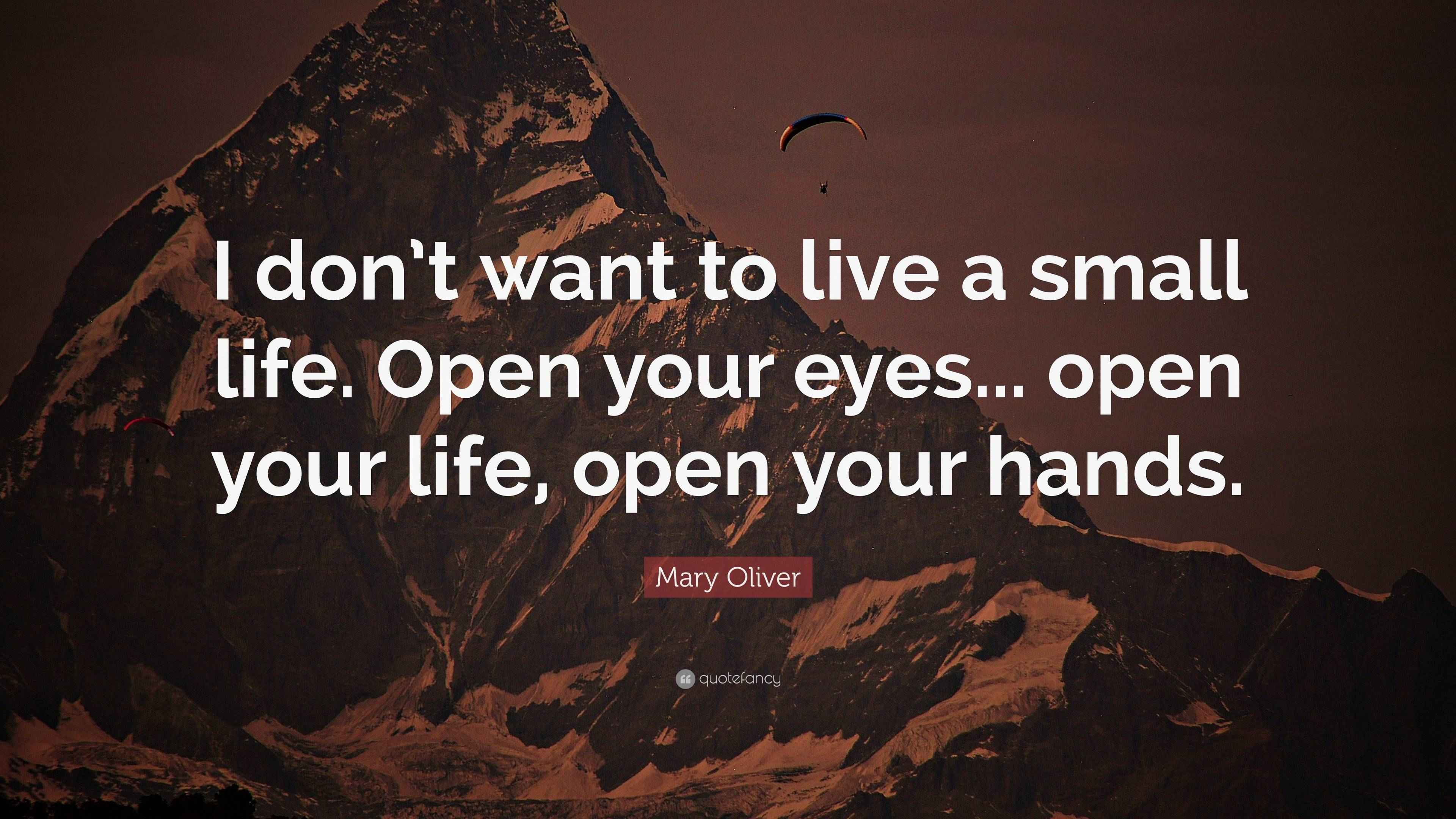 Mary Oliver Quote: “I don’t want to live a small life. Open your eyes ...