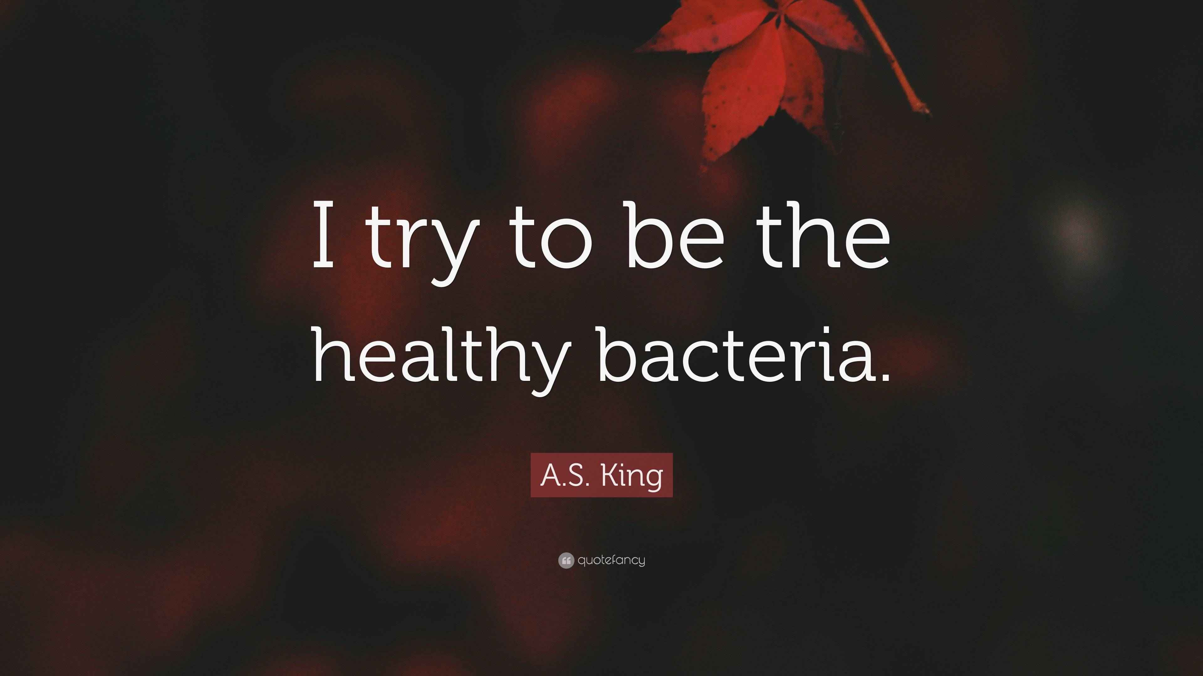 A.S. King Quote: “I try to be the healthy bacteria.”