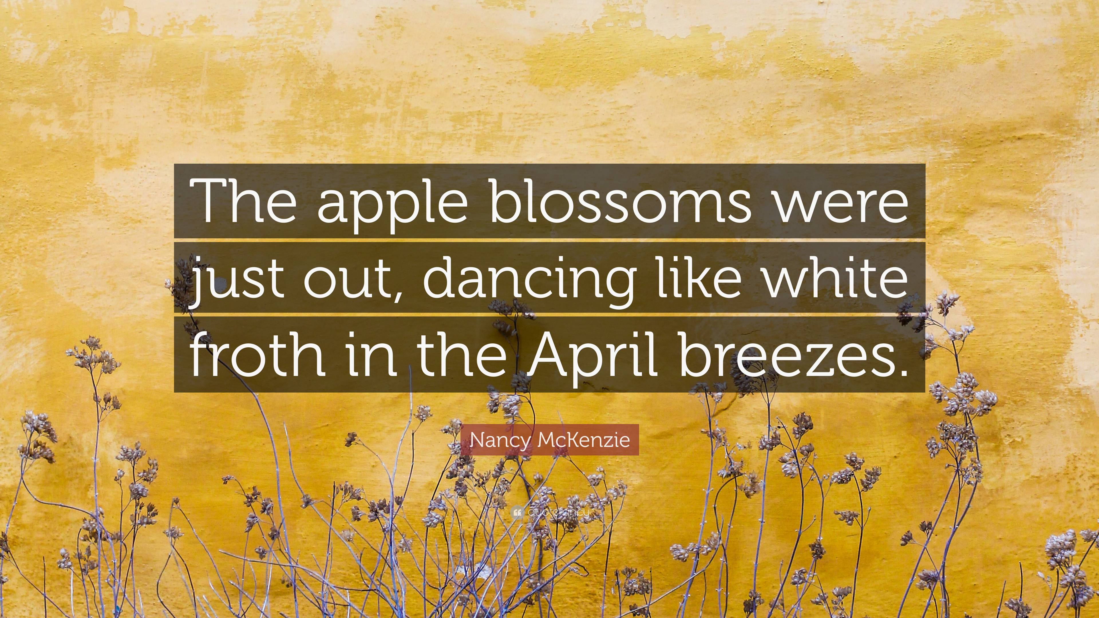 Apple Blossom Quotes 40 Beautiful Cherry Blossom Quotes About Life,