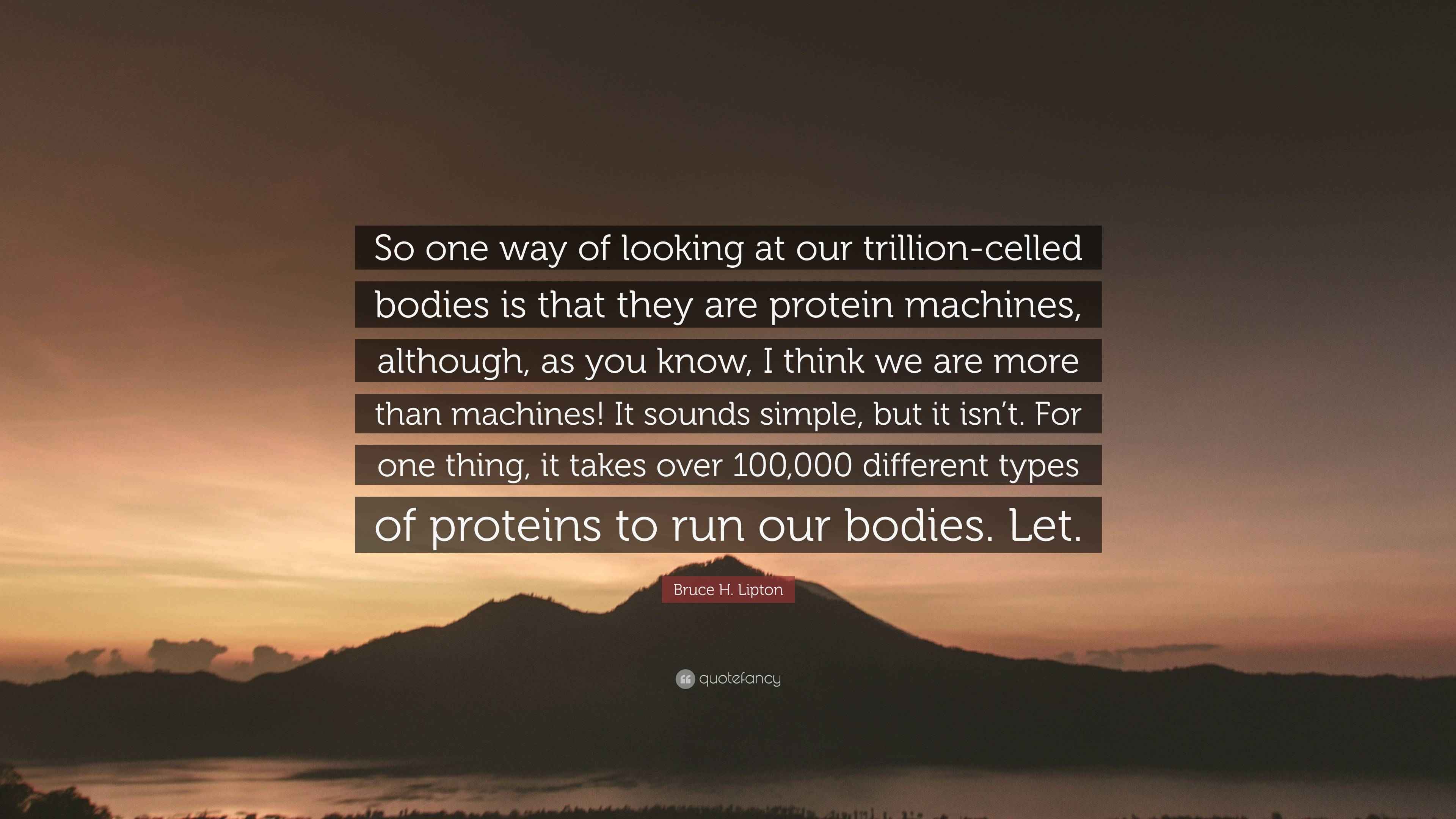 Bruce H. Lipton Quote: “So one way of looking at our trillion-celled ...