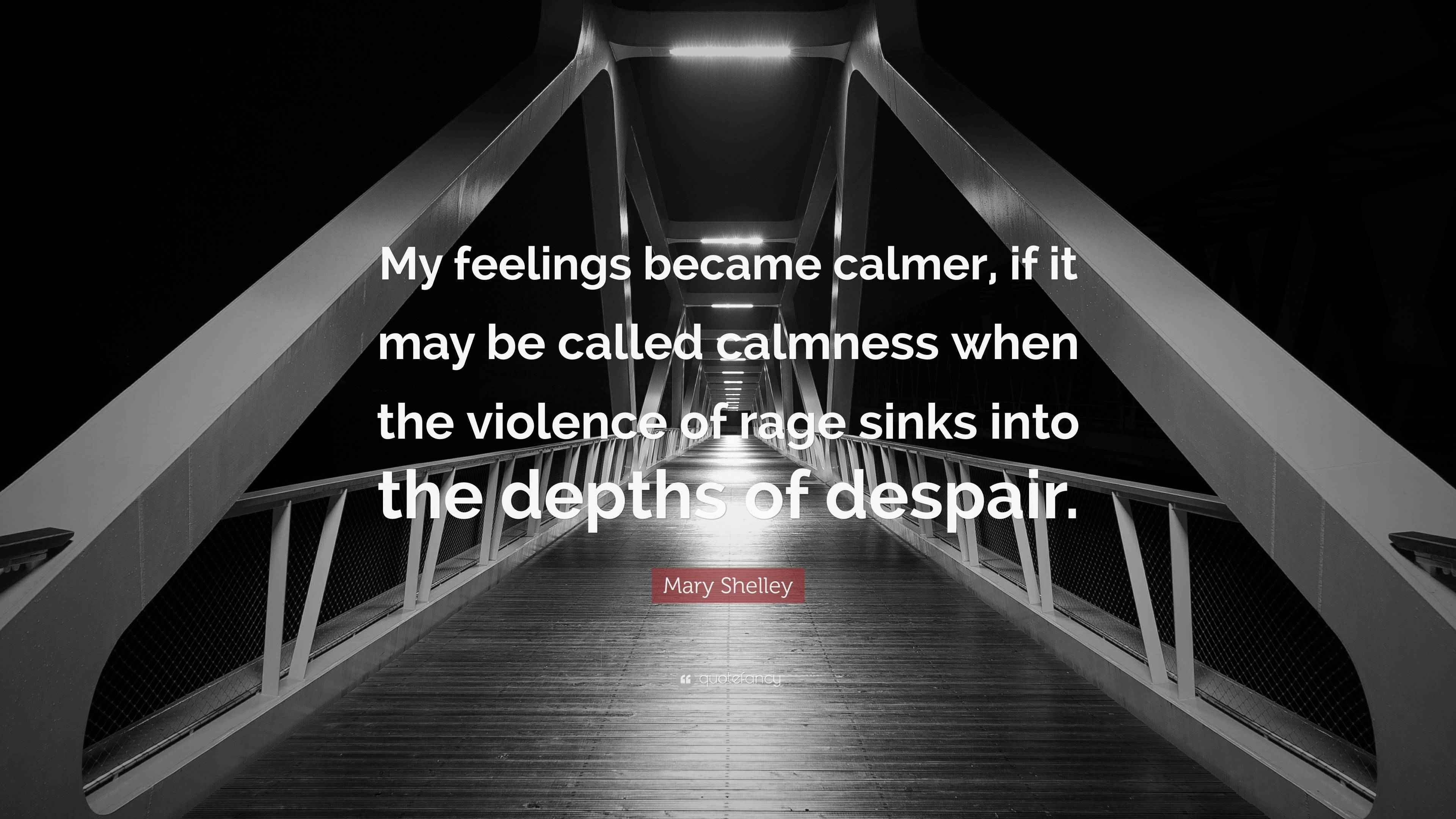 Mary Shelley Quote: “My feelings became calmer, if it may be called ...