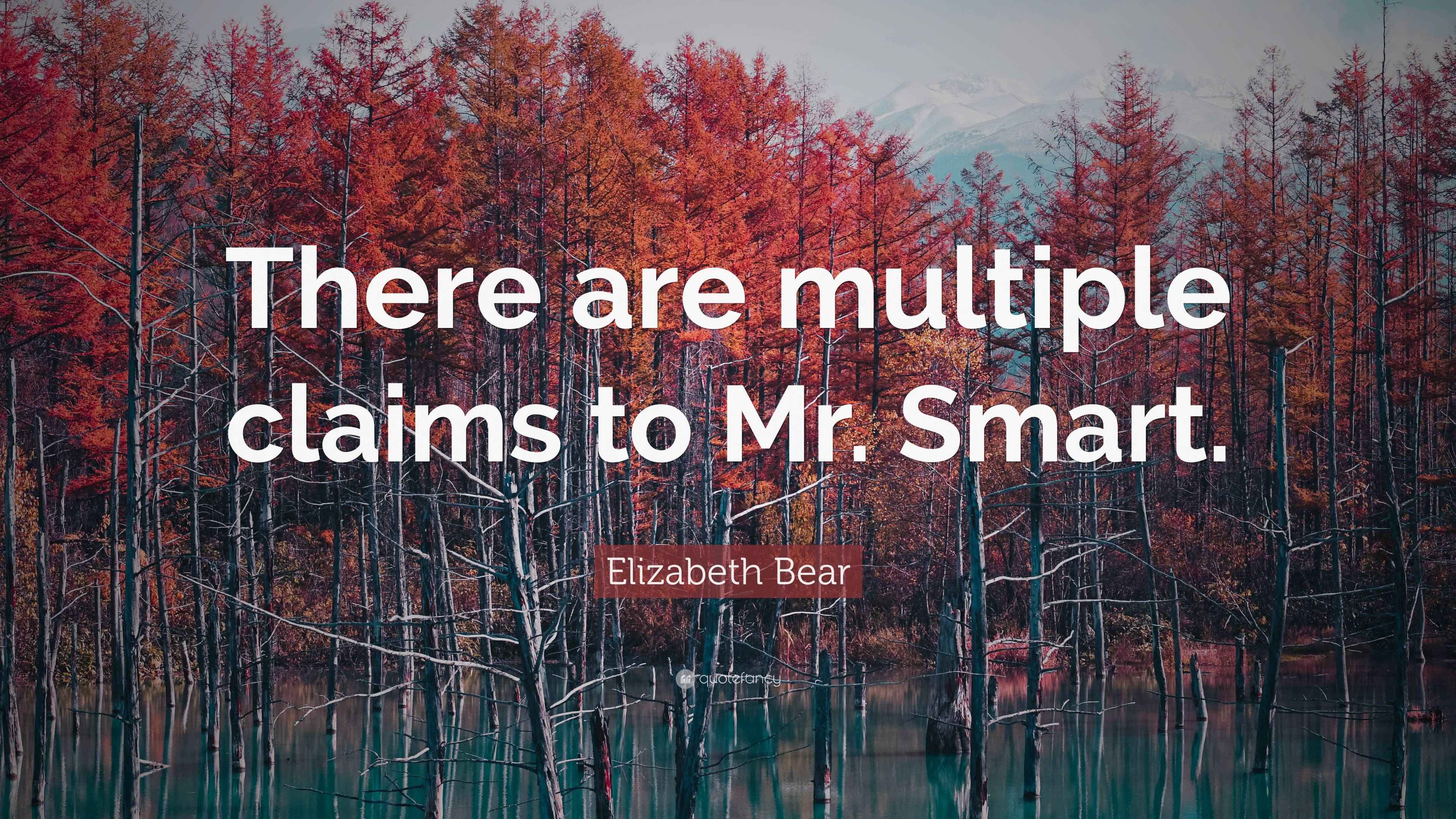 Elizabeth Bear Quote: “There are multiple claims to Mr. Smart.”