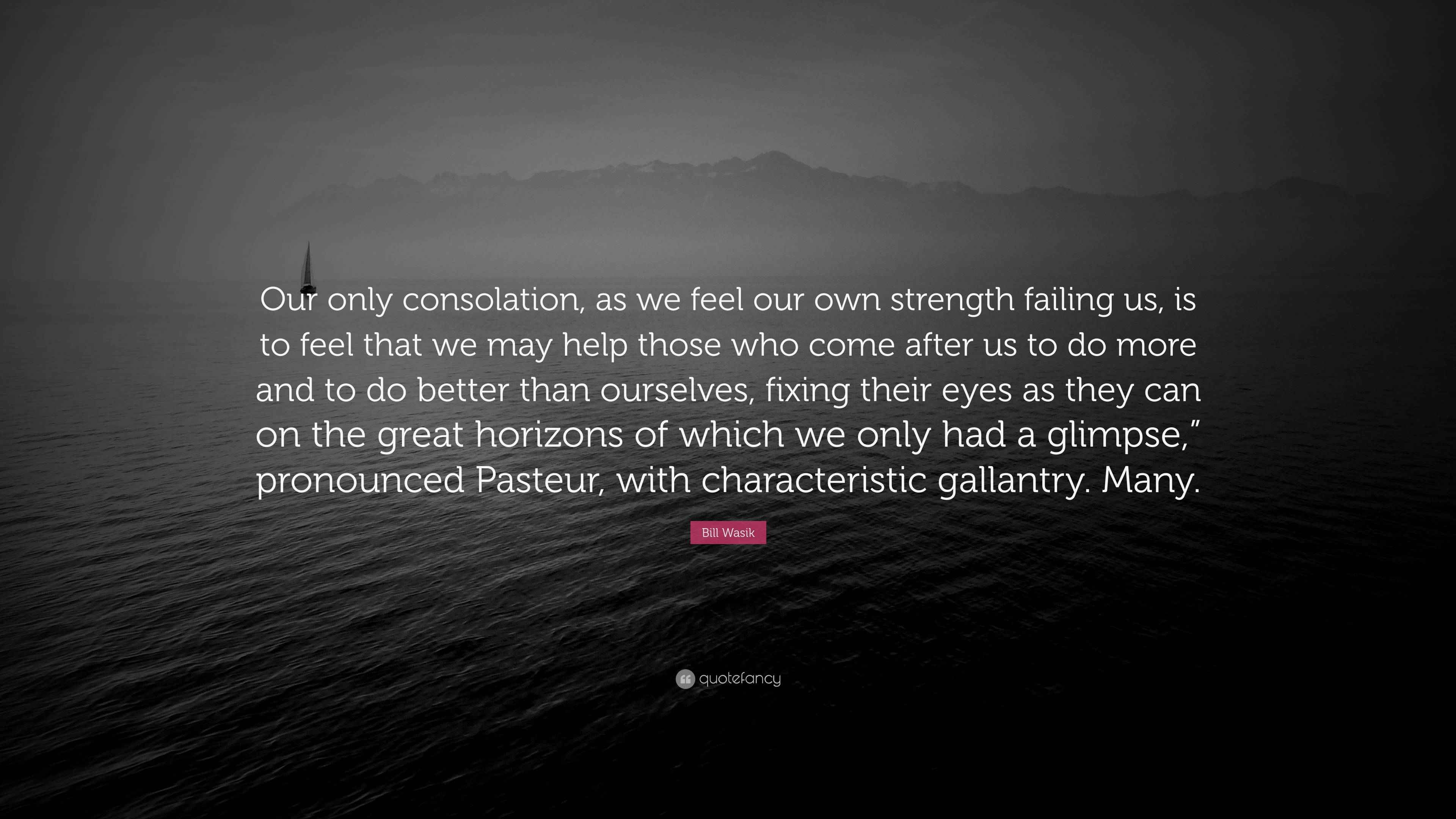 Bill Wasik Quote: “Our only consolation, as we feel our own strength ...