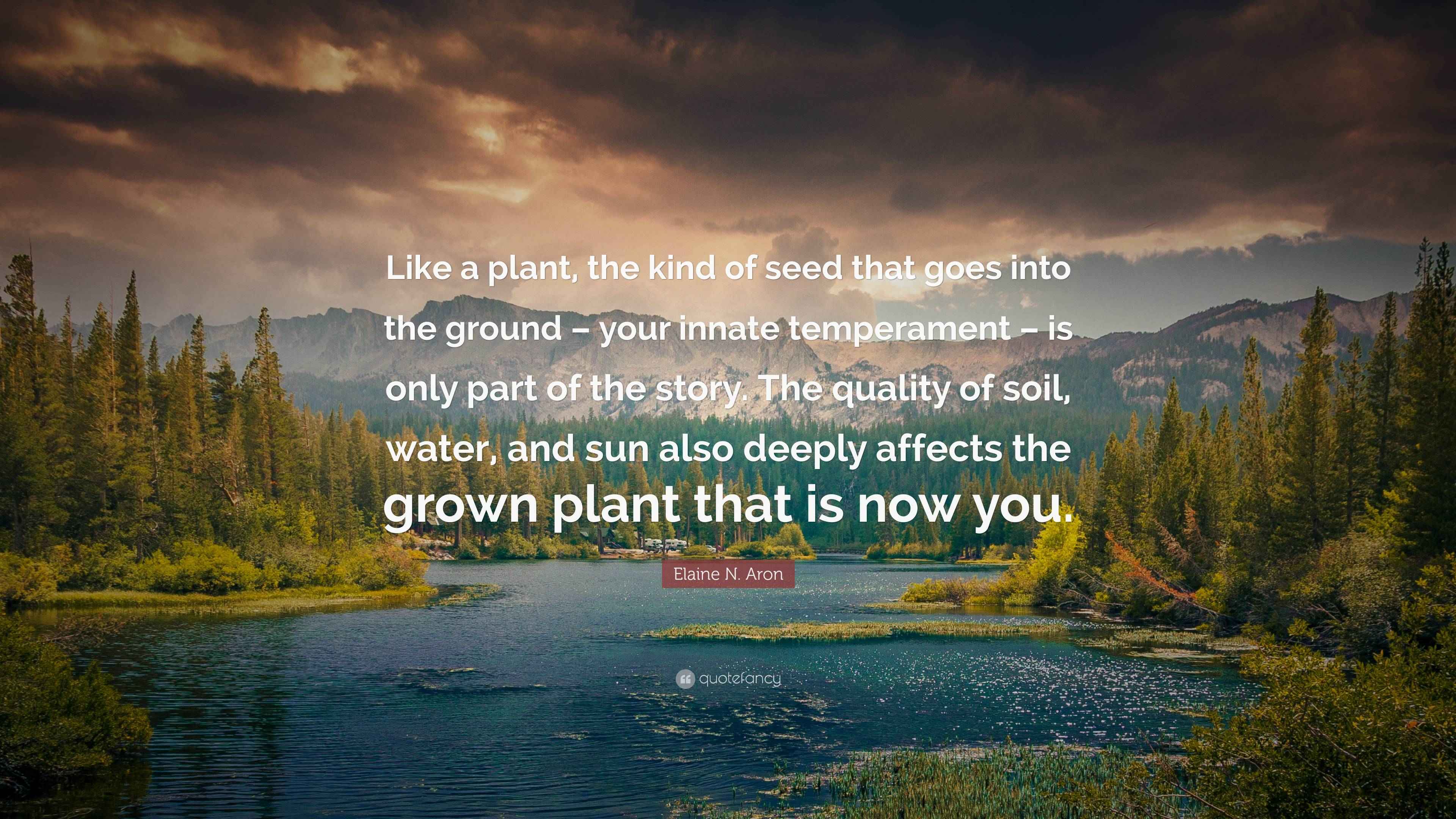 Elaine N. Aron Quote: “Like a plant, the kind of seed that goes into ...