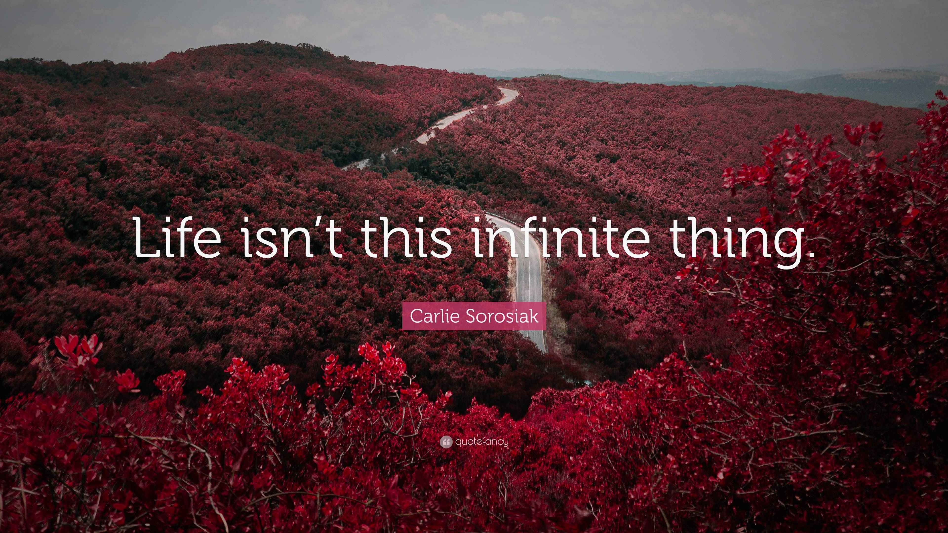 Carlie Sorosiak Quote: “Life isn’t this infinite thing.”