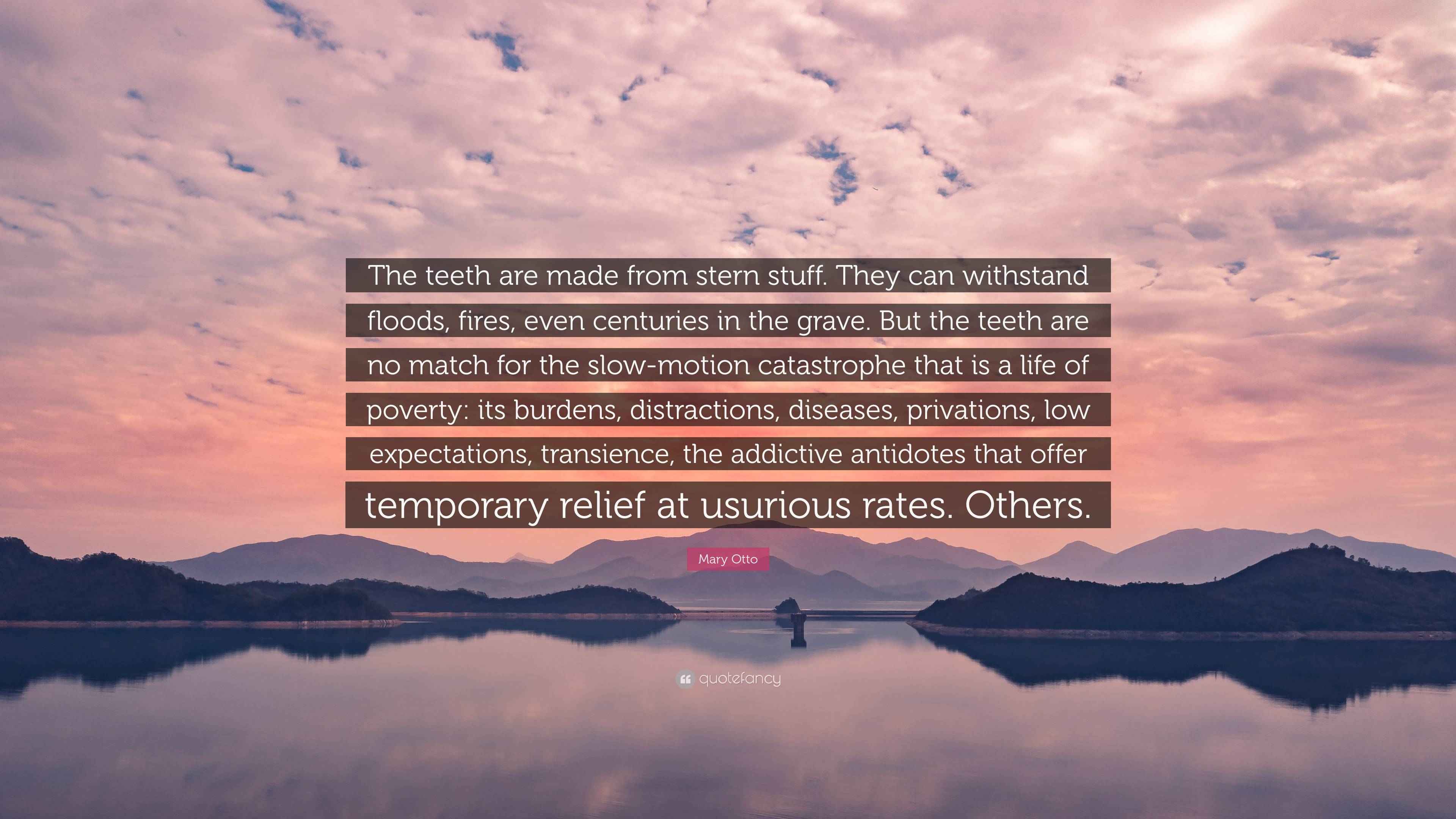 Mary Otto Quote: “The teeth are made from stern stuff. They can ...