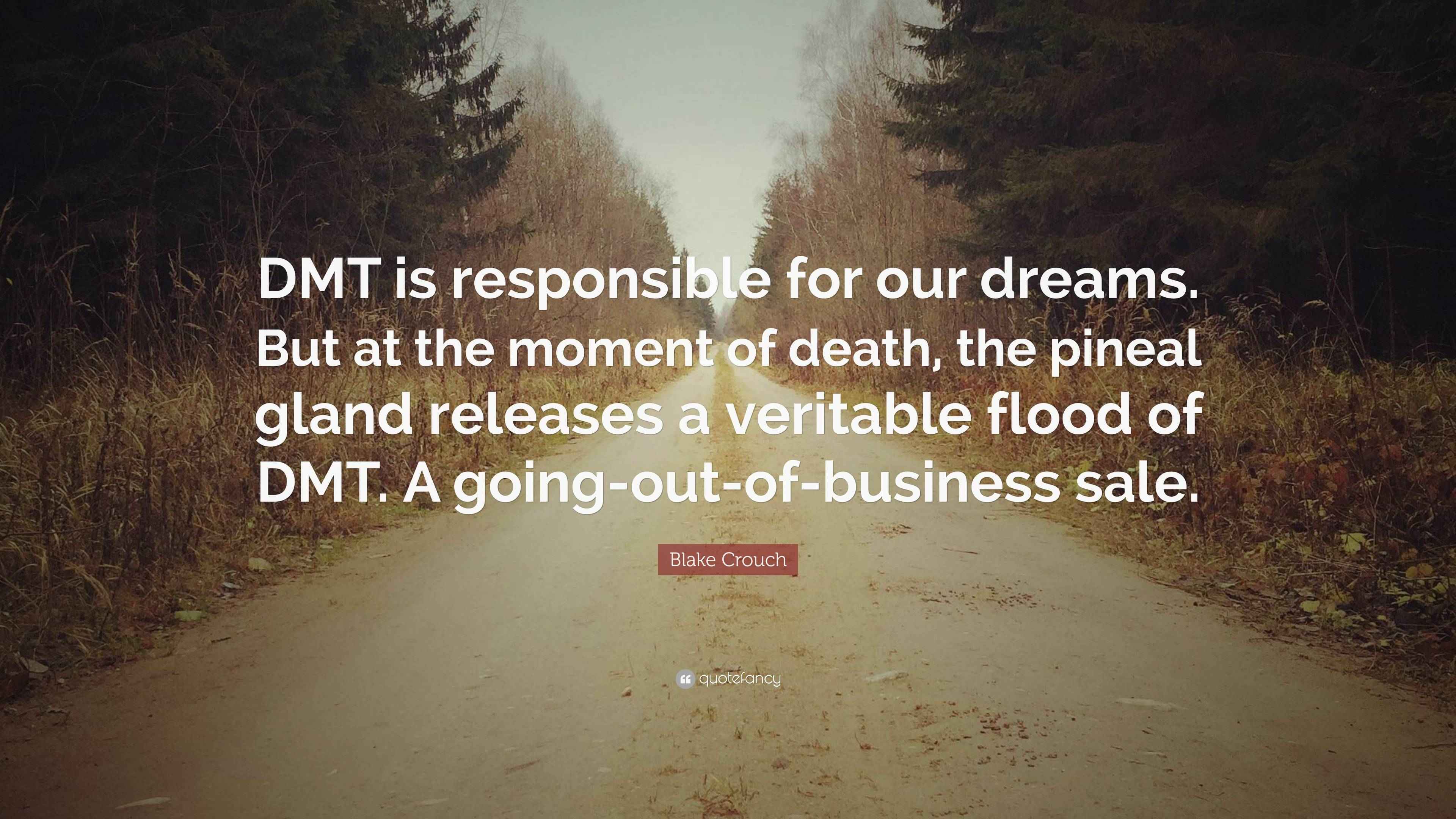 Blake Crouch Quote: “DMT is responsible for our dreams. But at the ...